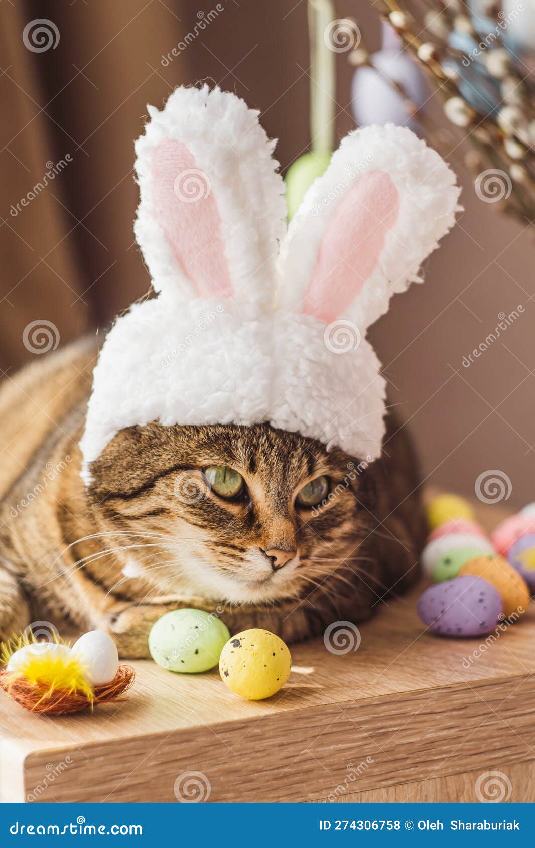 Easter Bunny. Tabby Cat in the Form of an Easter Rabbit with a Nest of ...