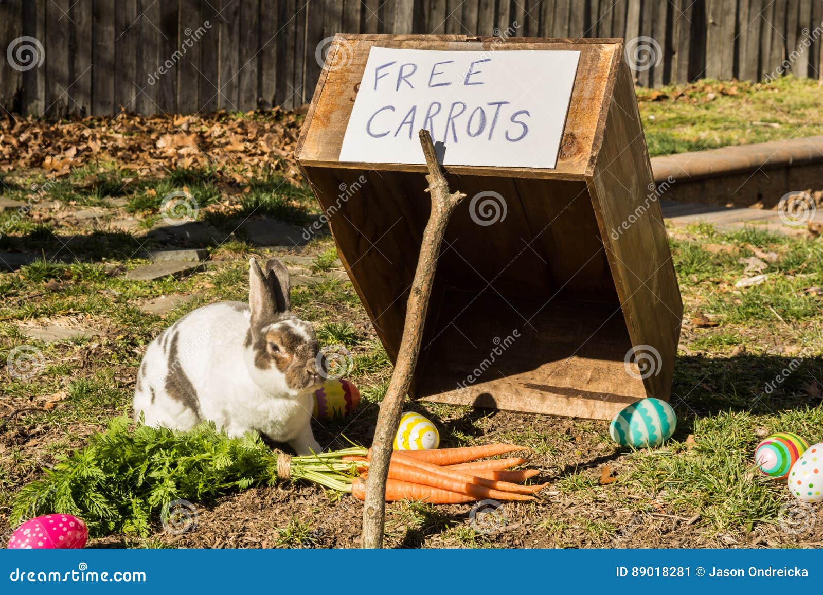 The Easter Bunny stock image. Image of ears, happy, comical - 89018281
