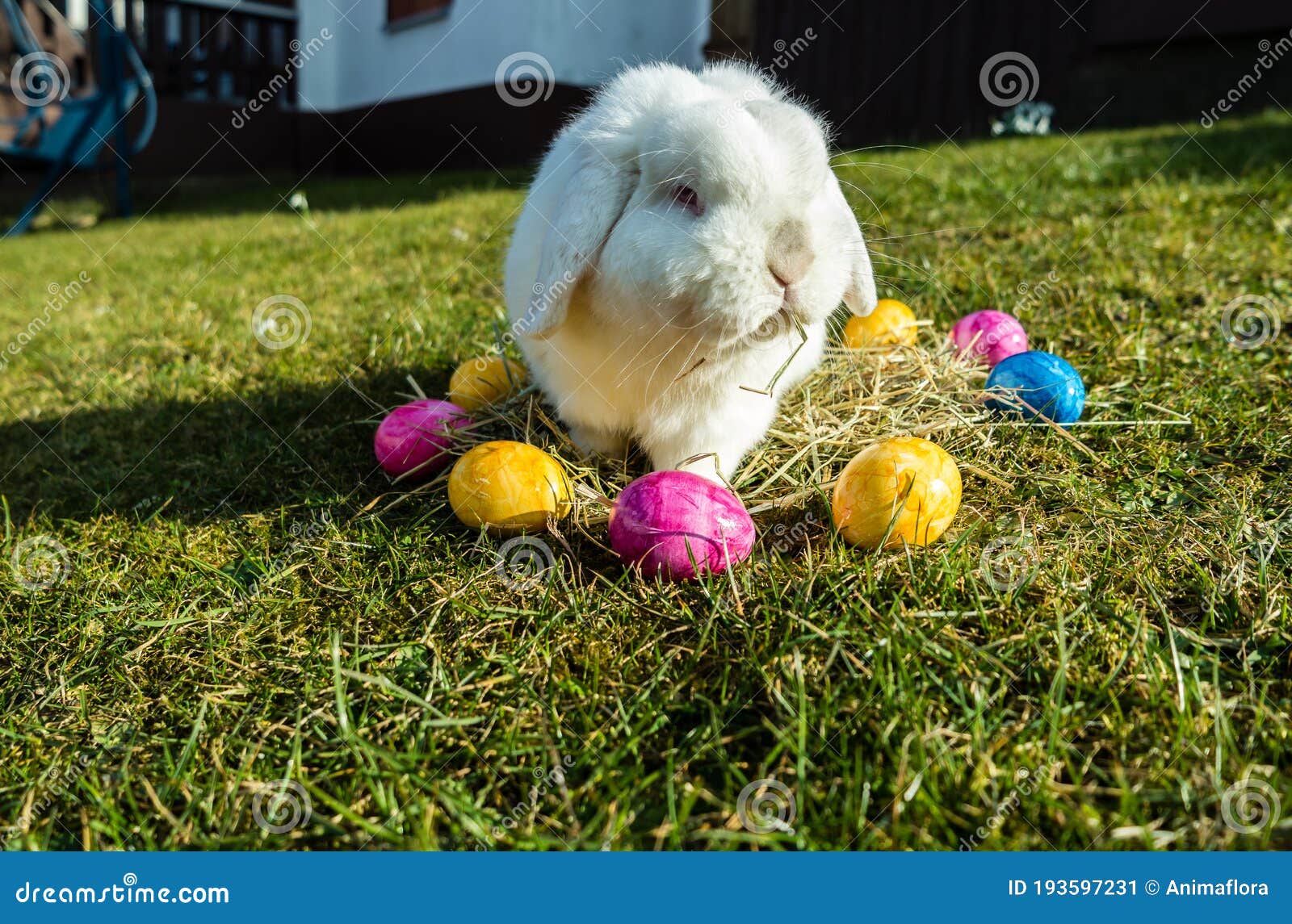 Easter bunny at work stock image. Image of friday, todays - 193597231