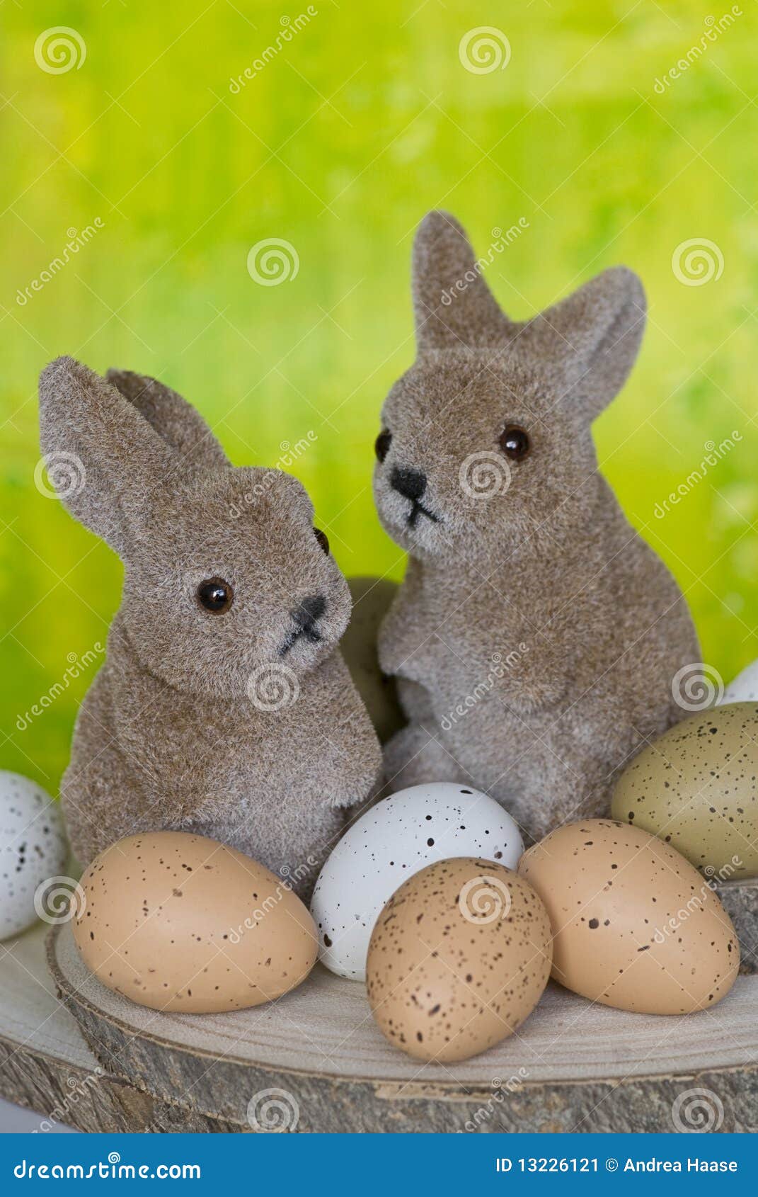 Easter Bunnys stock image. Image of bunny, spring, season - 13226121