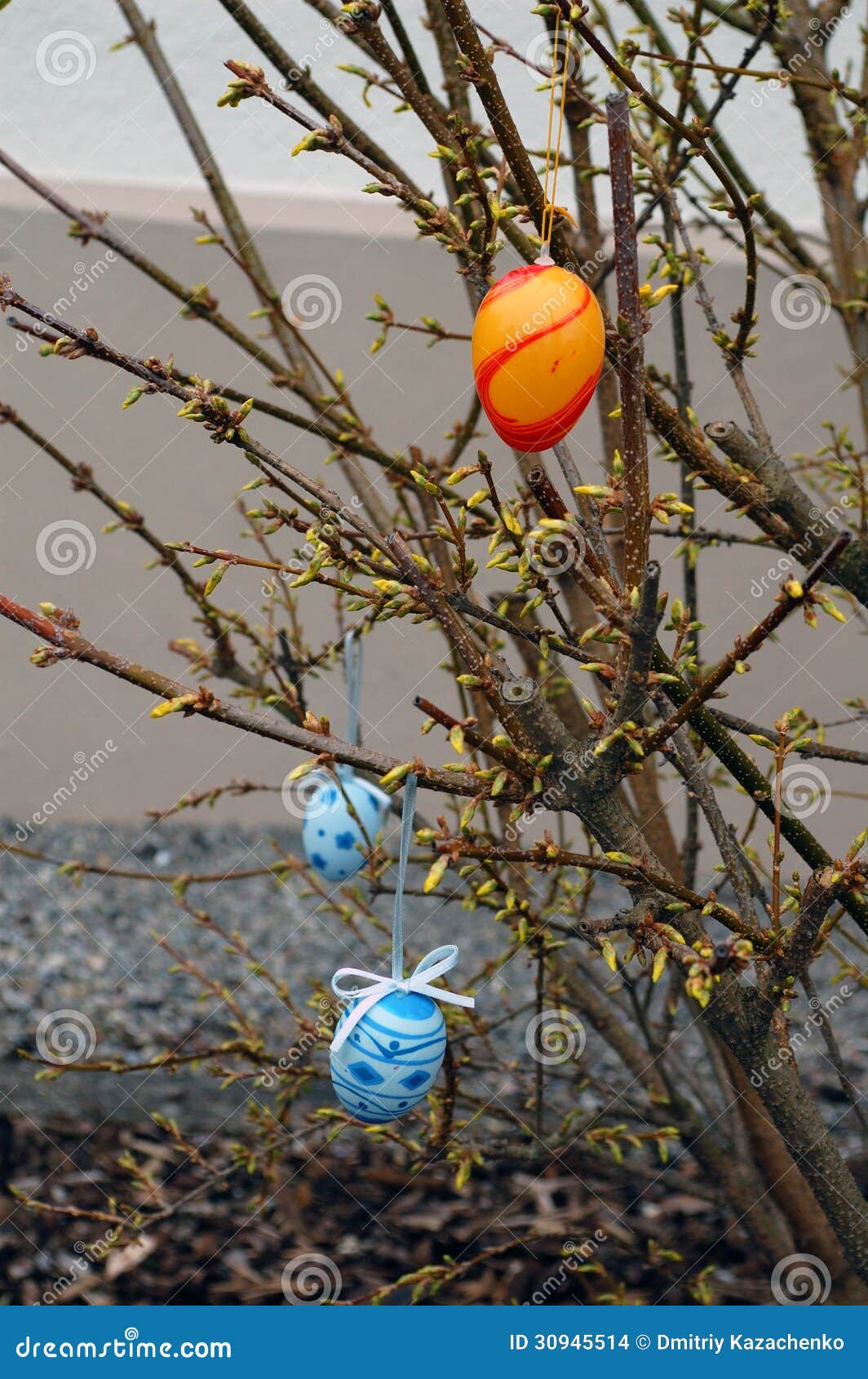 Easter bush stock photo. Image of spring, bush, decoration - 30945514