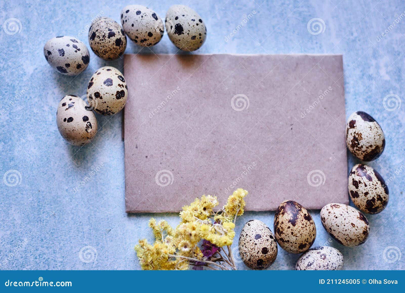 Easter Card. Frame from Quail Eggs Stock Image - Image of wooden ...