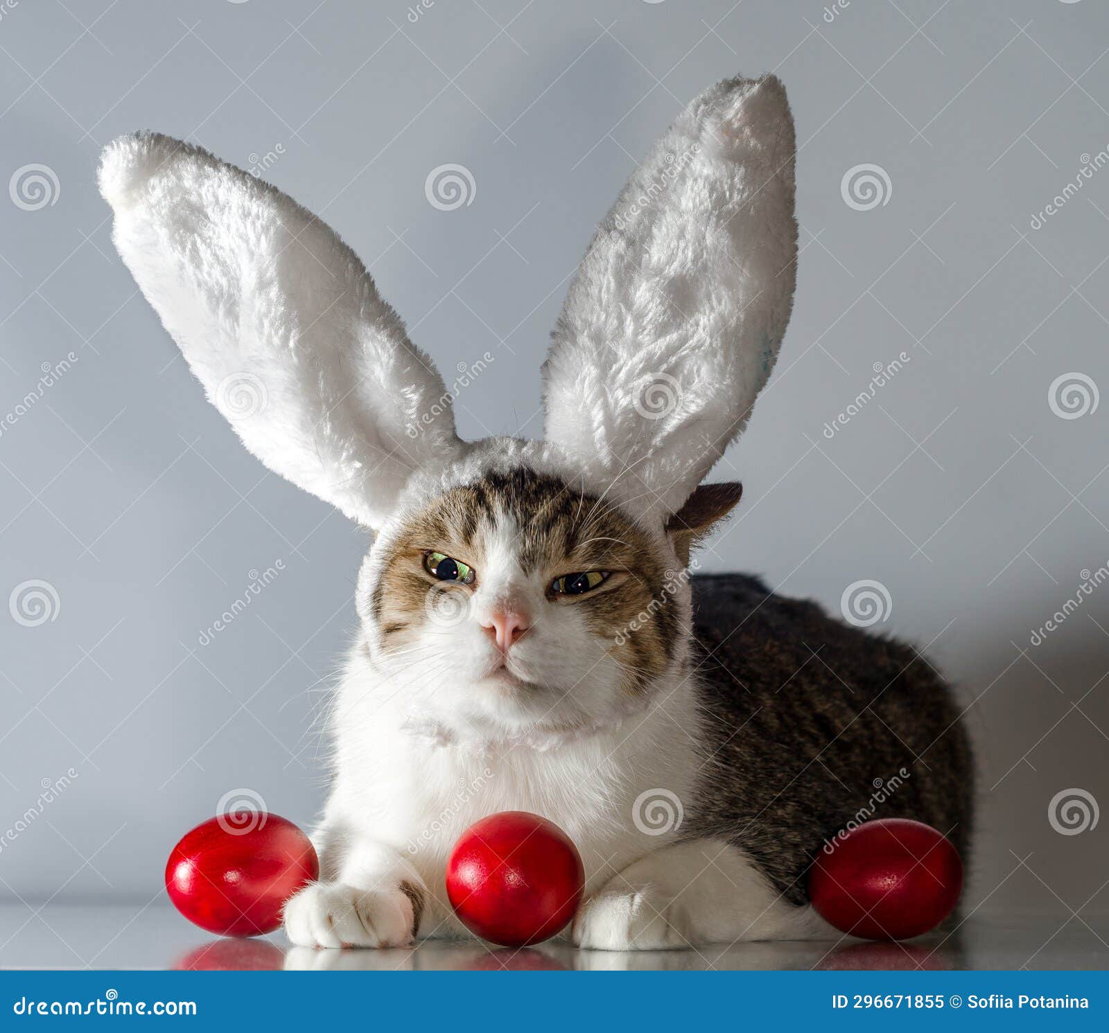 Easter Cat in Rabbit Ears Guards Three Red Eggs Stock Image - Image of ...