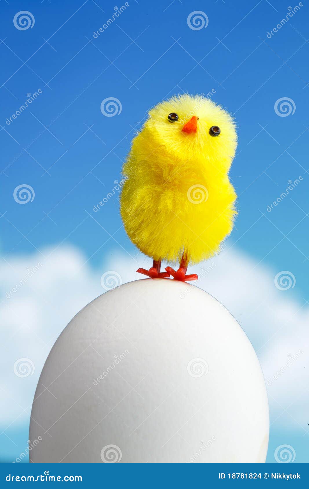 Easter chick stock photo. Image of chick, close, single - 18781824