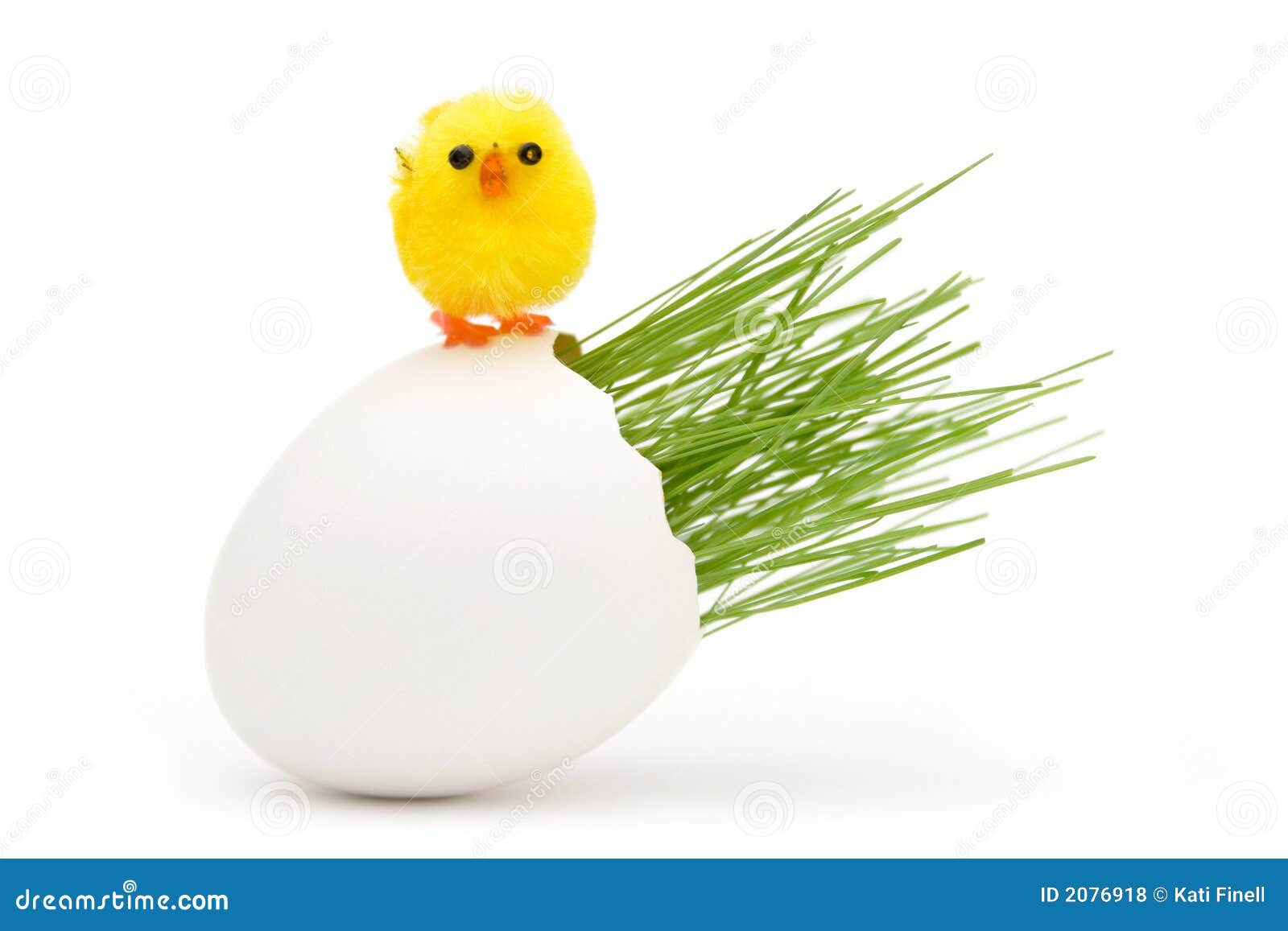 Easter chick stock photo. Image of green, chick, grow - 2076918