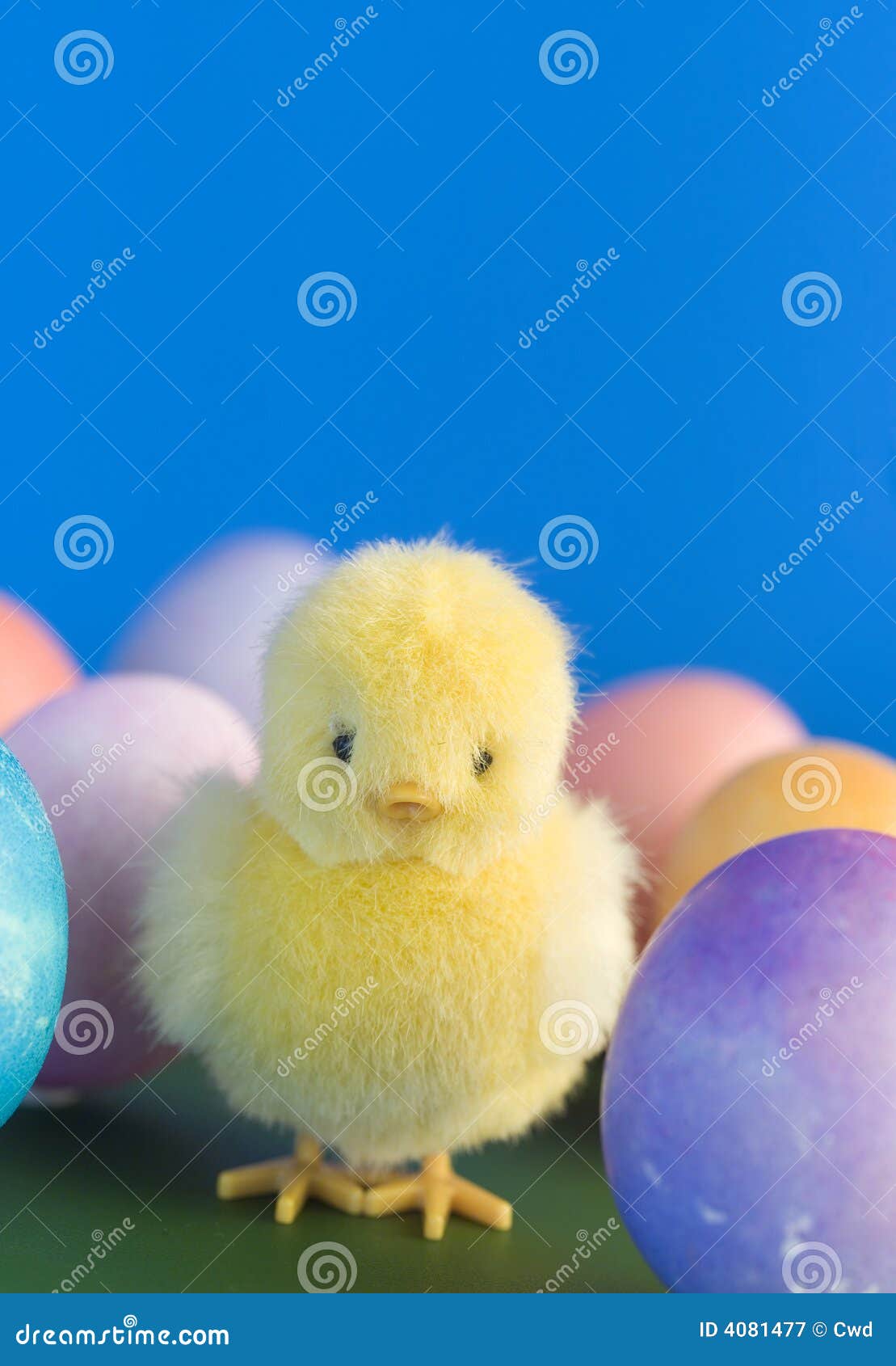 Easter chick stock image. Image of easter, chick, colored - 4081477
