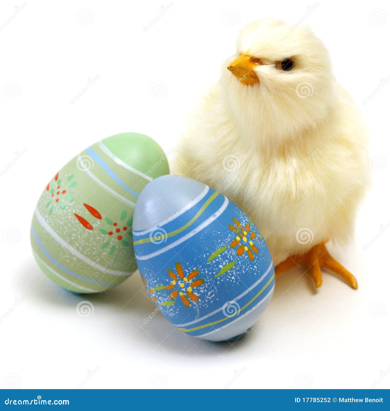 Easter Chick and Eggs stock photo. Image of young, painted - 17785252
