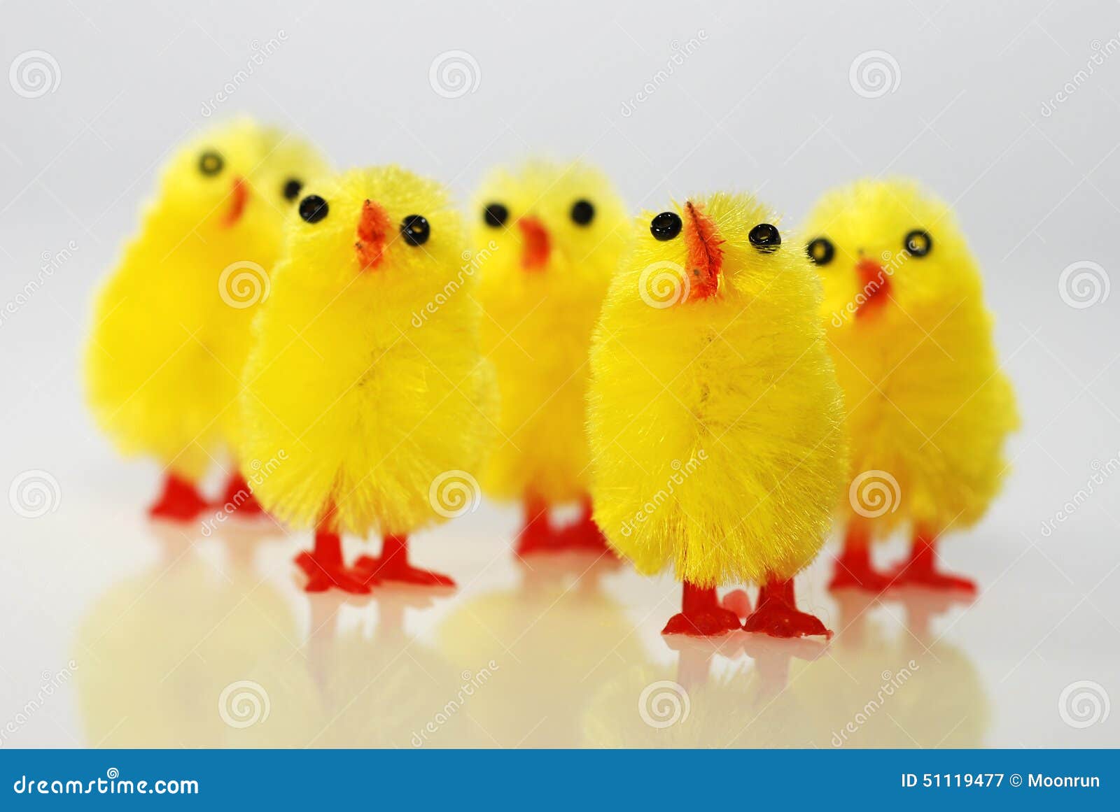 Easter chick stock image. Image of celebration, sweet - 51119477
