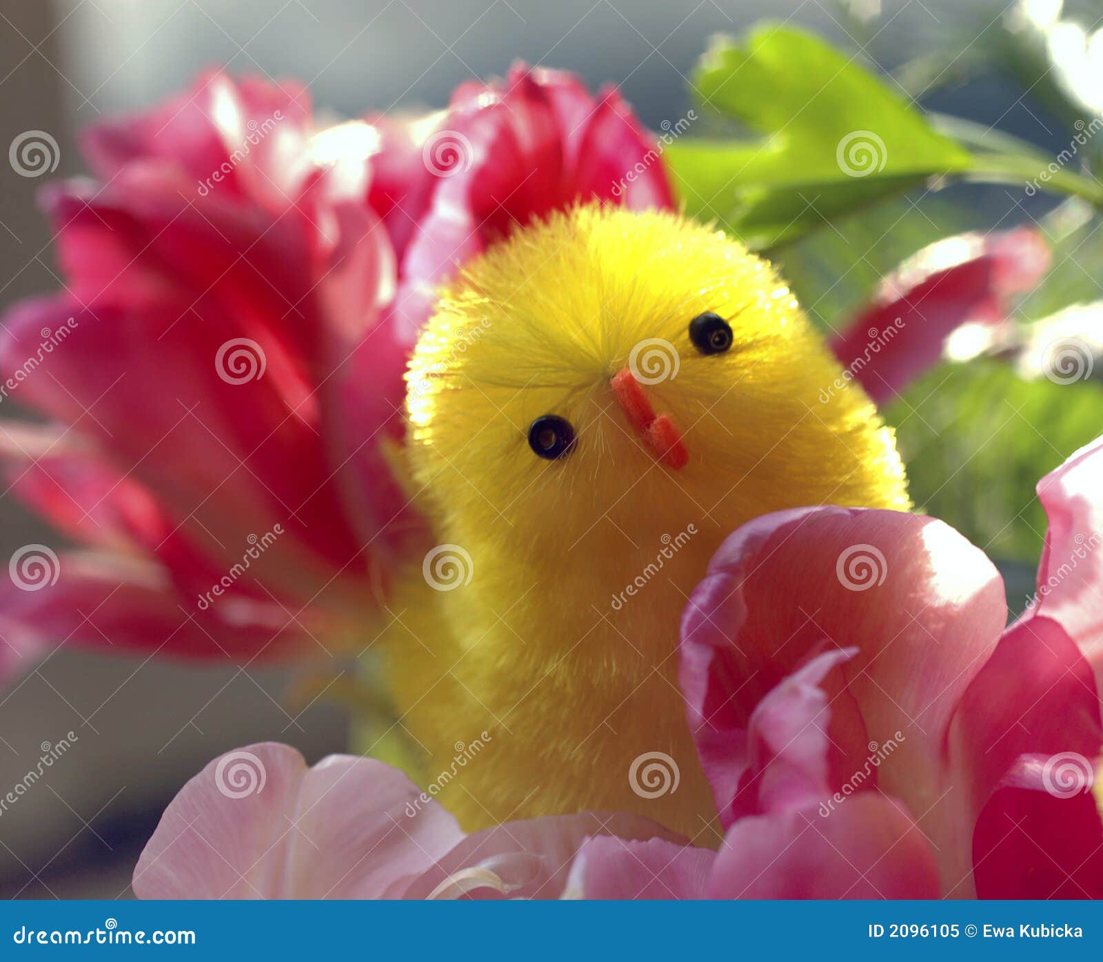 Easter Chick & Spring Flowers Stock Image - Image of decoration, yellow ...