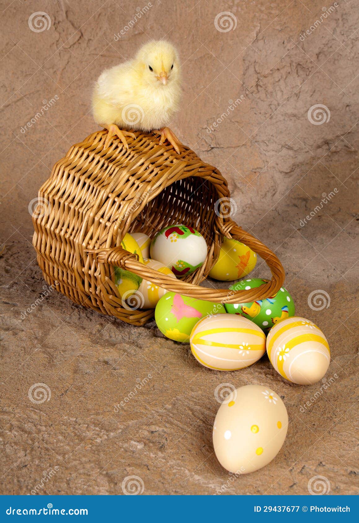 Easter Chick on Wicker Basket Stock Image - Image of easter, painted ...