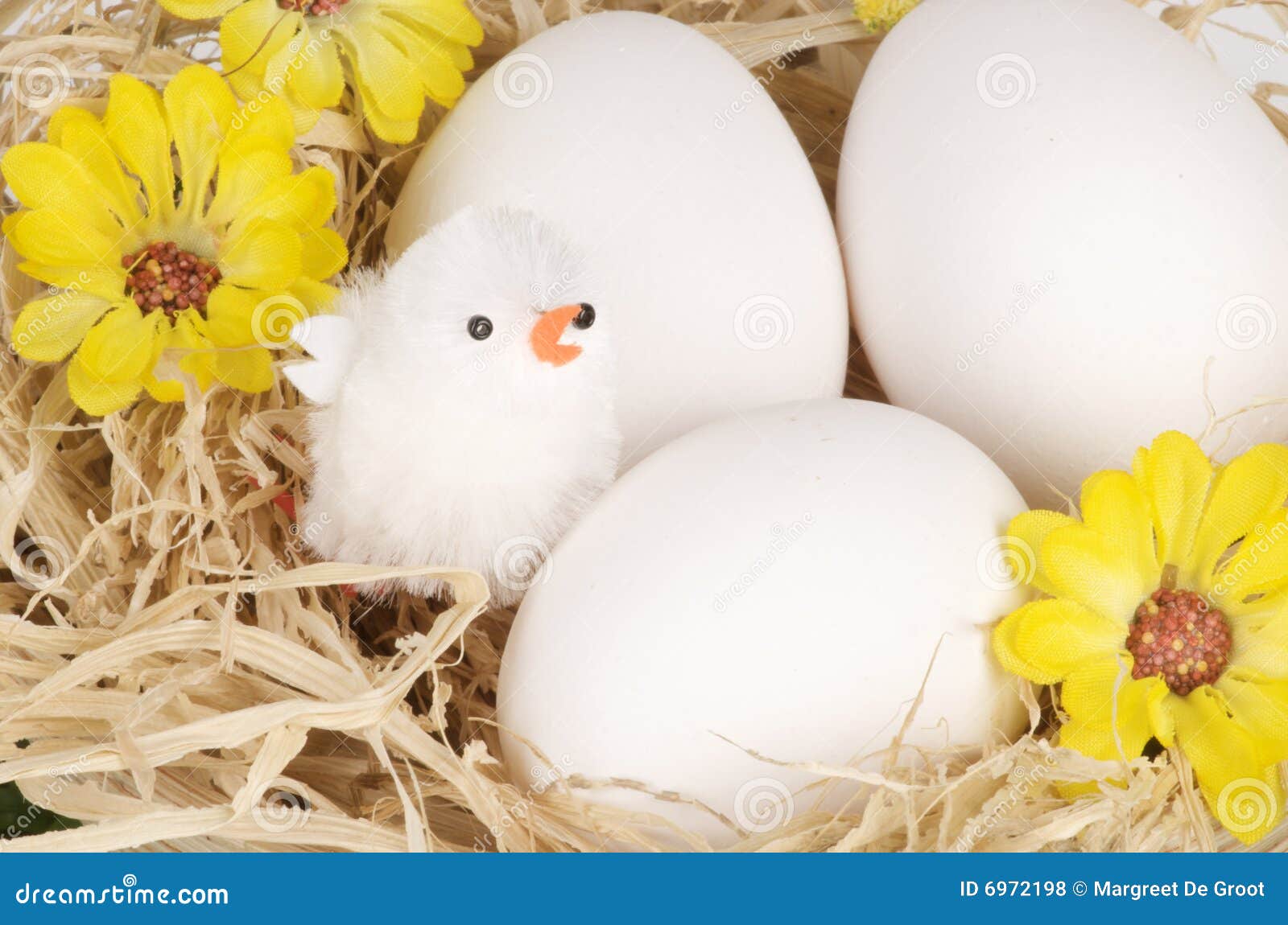 Easter chicken stock photo. Image of animal, food, close - 6972198
