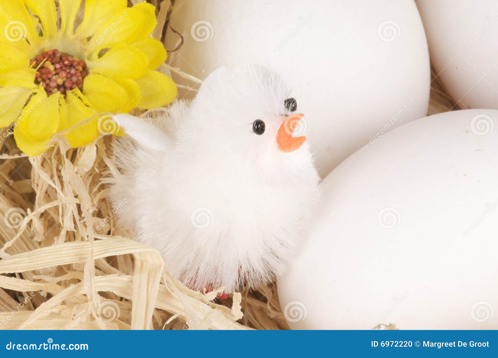 Easter chicken stock photo. Image of flowers, spring, ingredient - 6972220