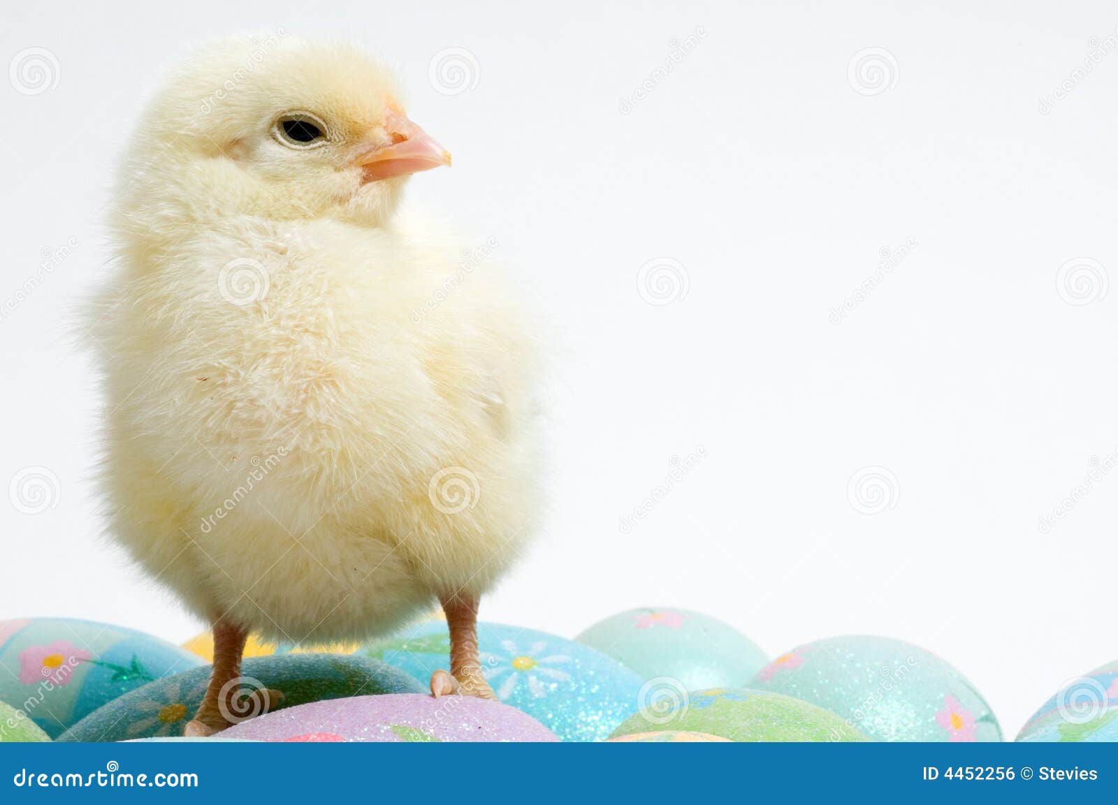 Easter Chicken And Rabbit Stock Photography | CartoonDealer.com #87962888