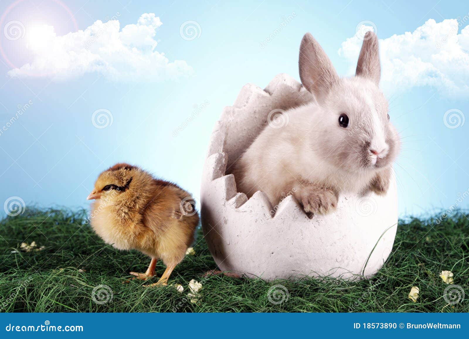 Easter chicken and rabbit! stock photo. Image of rabbit - 18573890