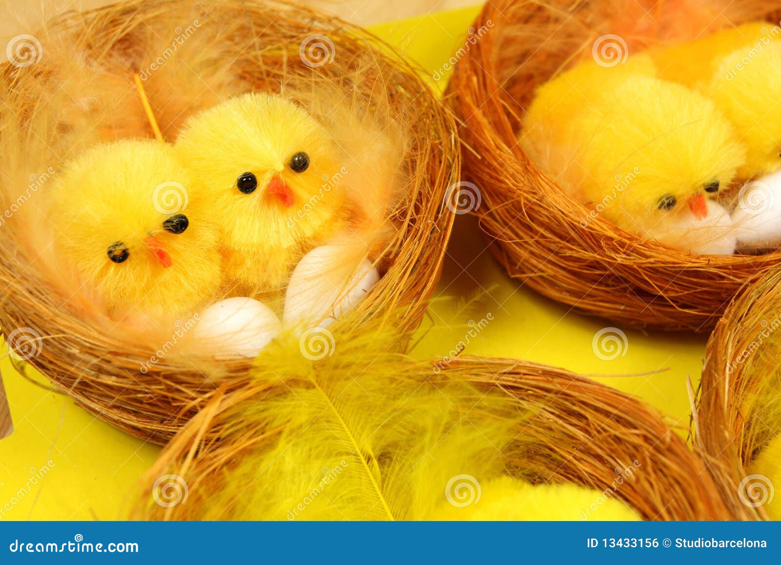 Easter chickens stock photo. Image of group, hatch, mother - 13433156