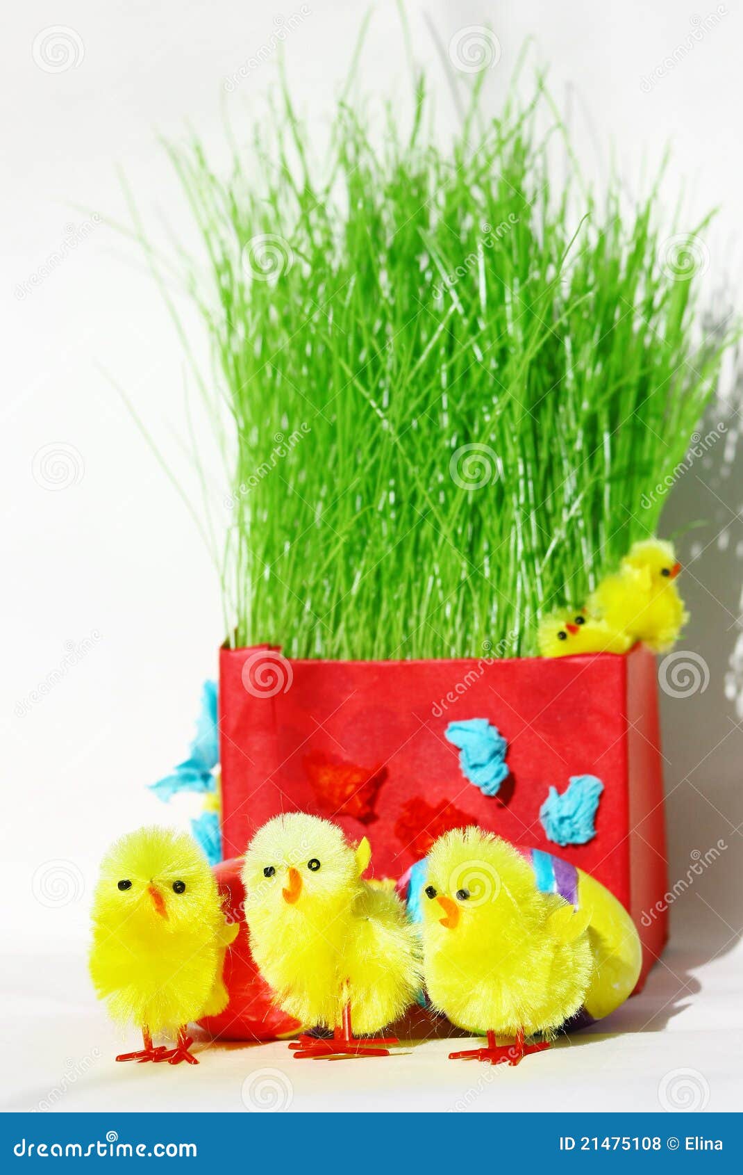 Easter chickens stock photo. Image of pastures, season - 21475108