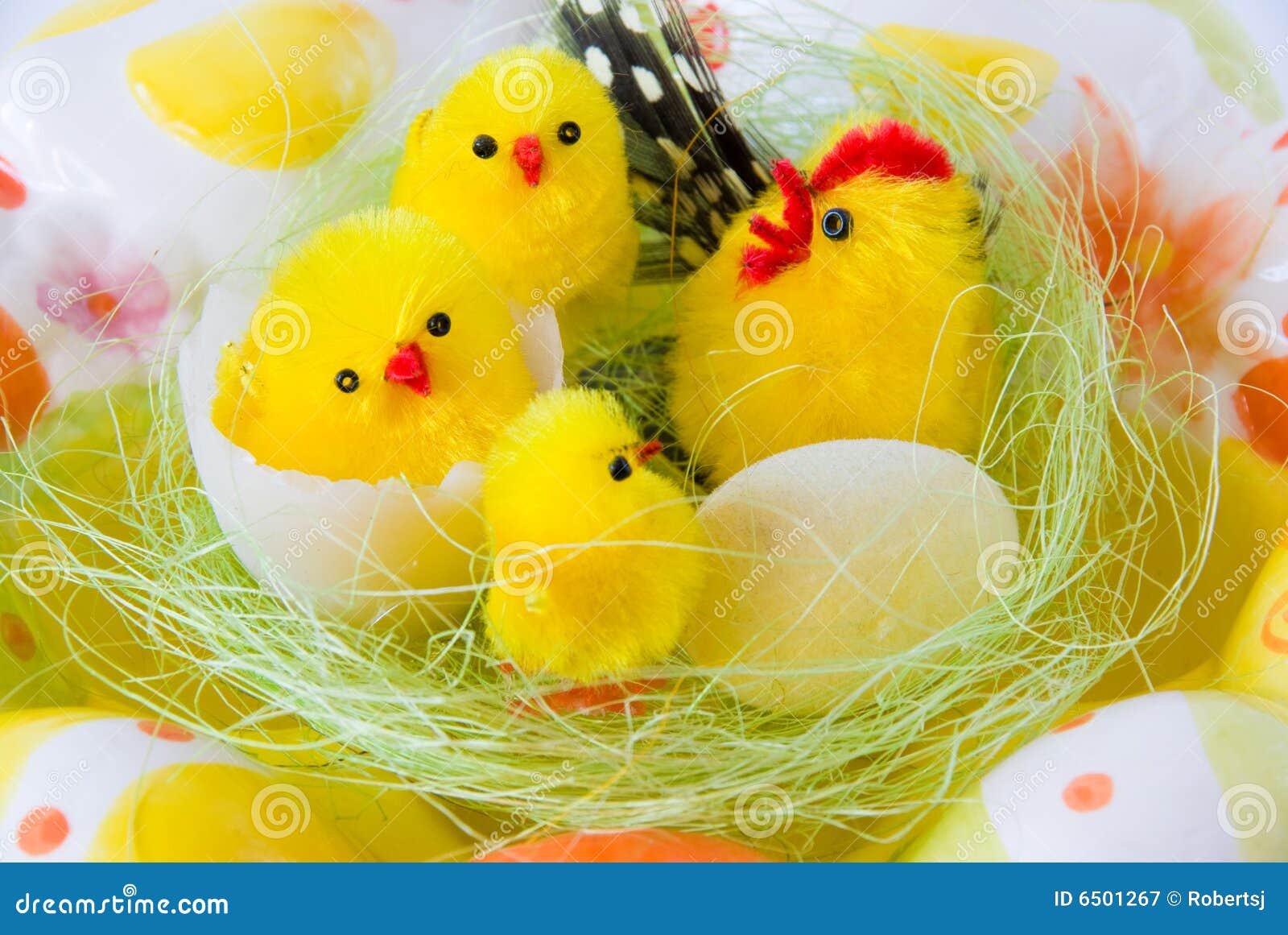 Easter chickens stock image. Image of eggs, easter, birds - 6501267