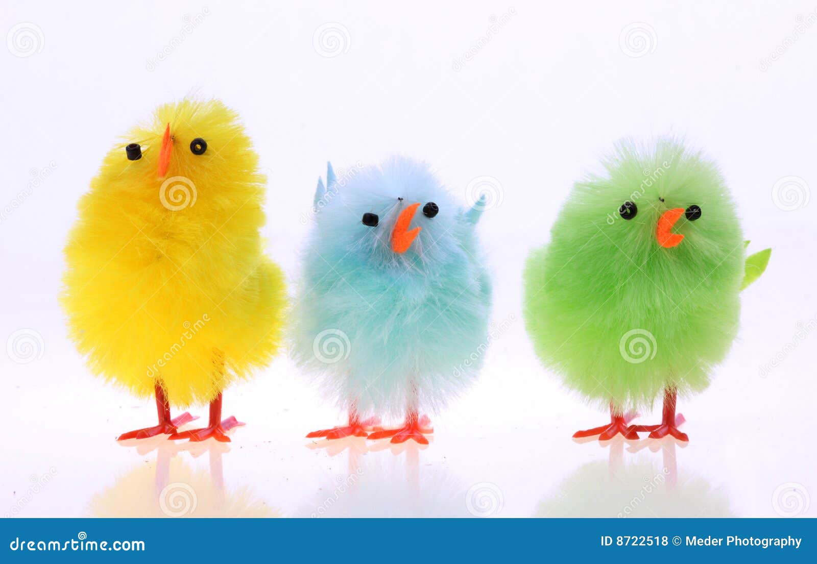Easter chickens stock photo. Image of group, april, blue - 8722518