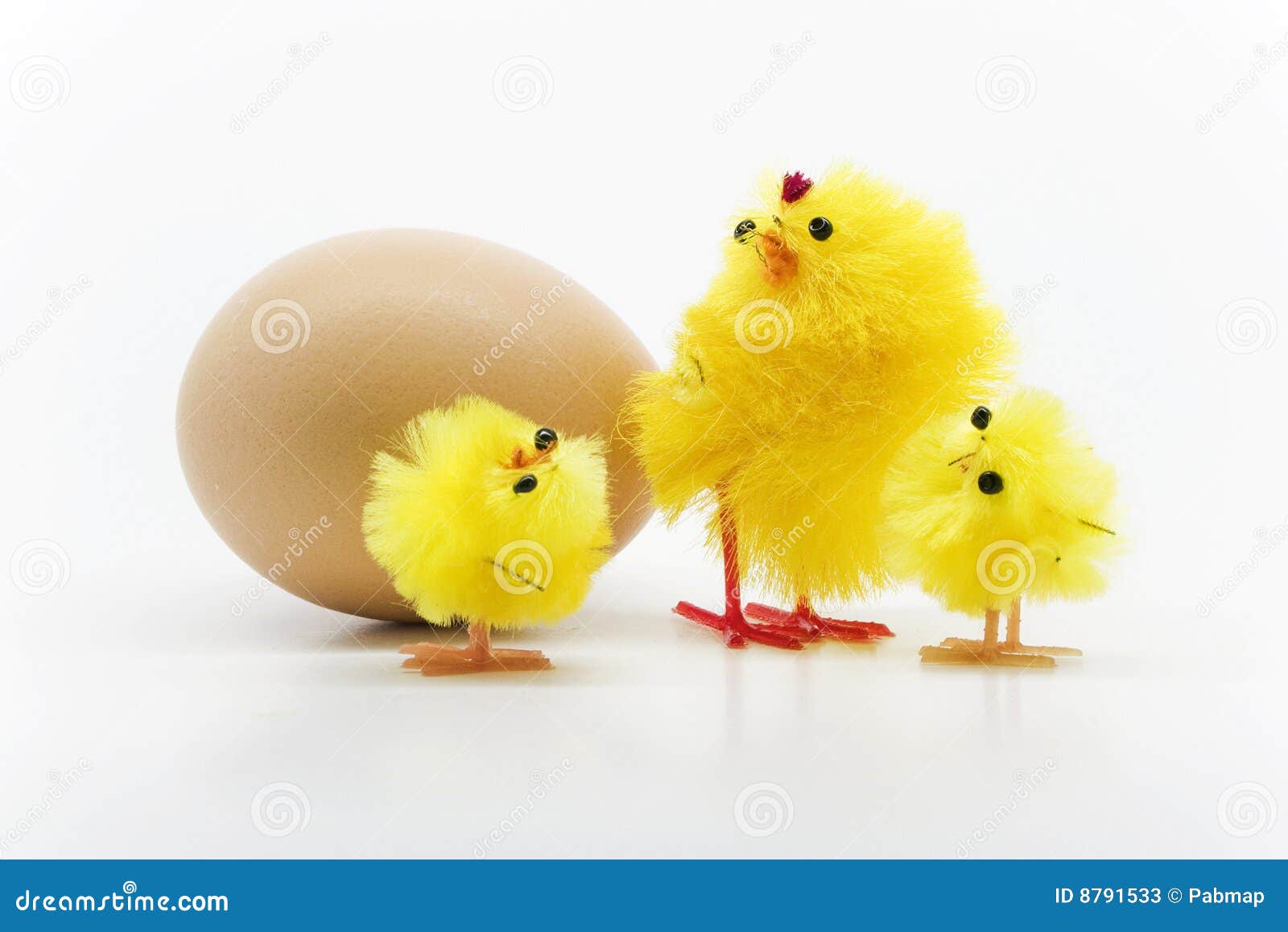 Easter chickens stock image. Image of feathers, innocent - 8791533