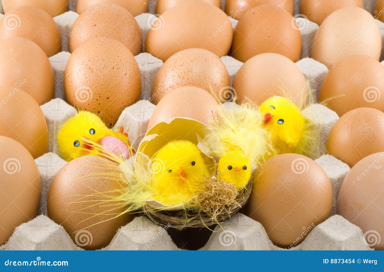 Easter Chickens stock photo. Image of young, fluffy, eggs - 8873454