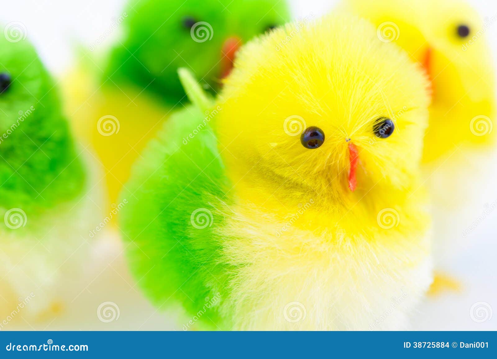 Easter Chickens stock photo. Image of horizontal, celebrations - 38725884