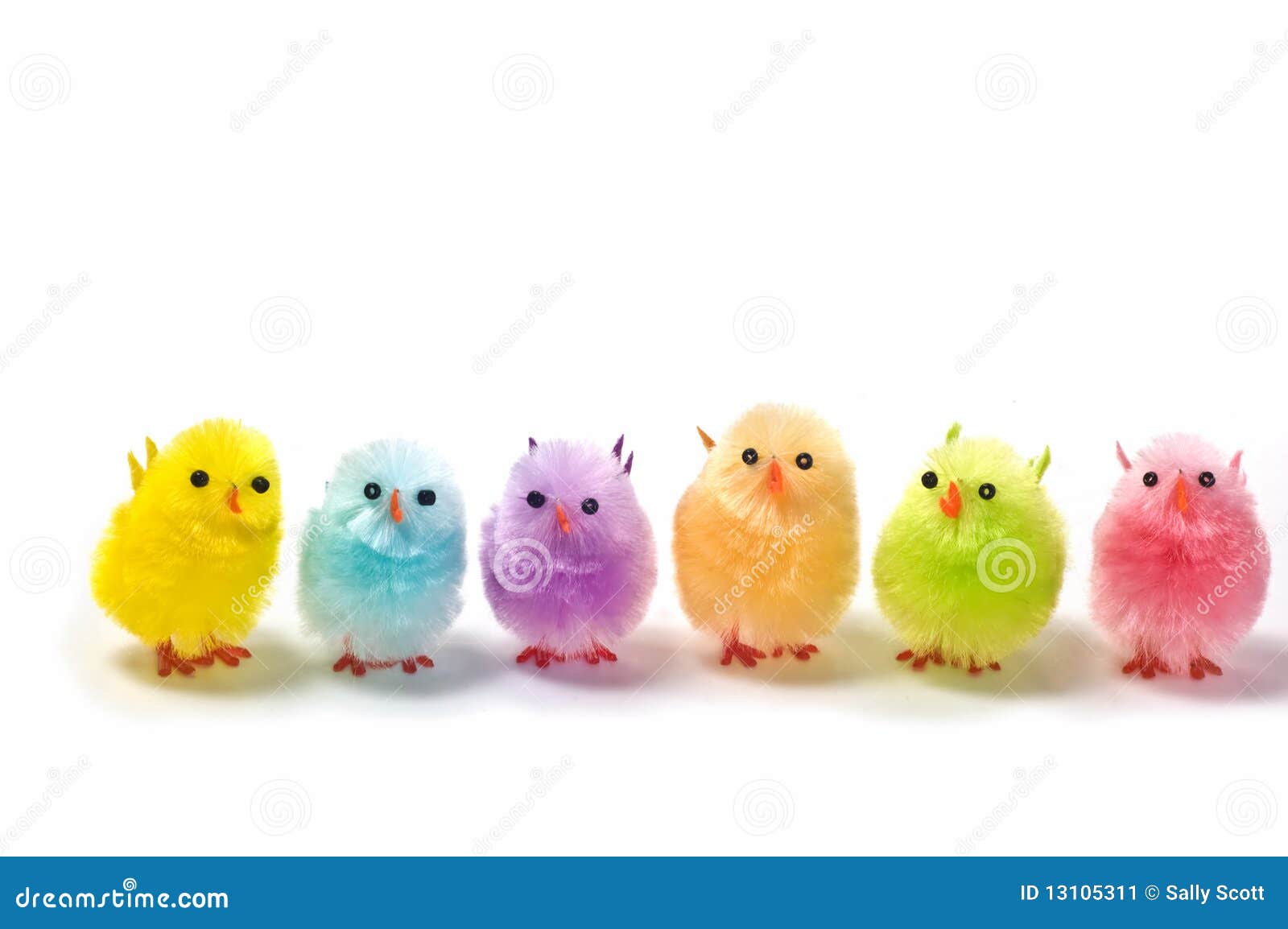 Easter chicks stock image. Image of humor, chicks, baby - 13105311