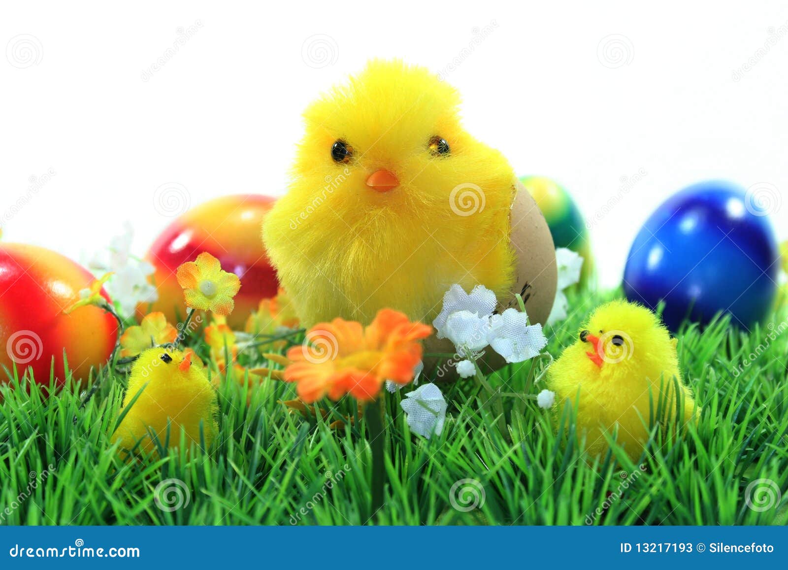 Easter Chicks Picture. Image: 13217193