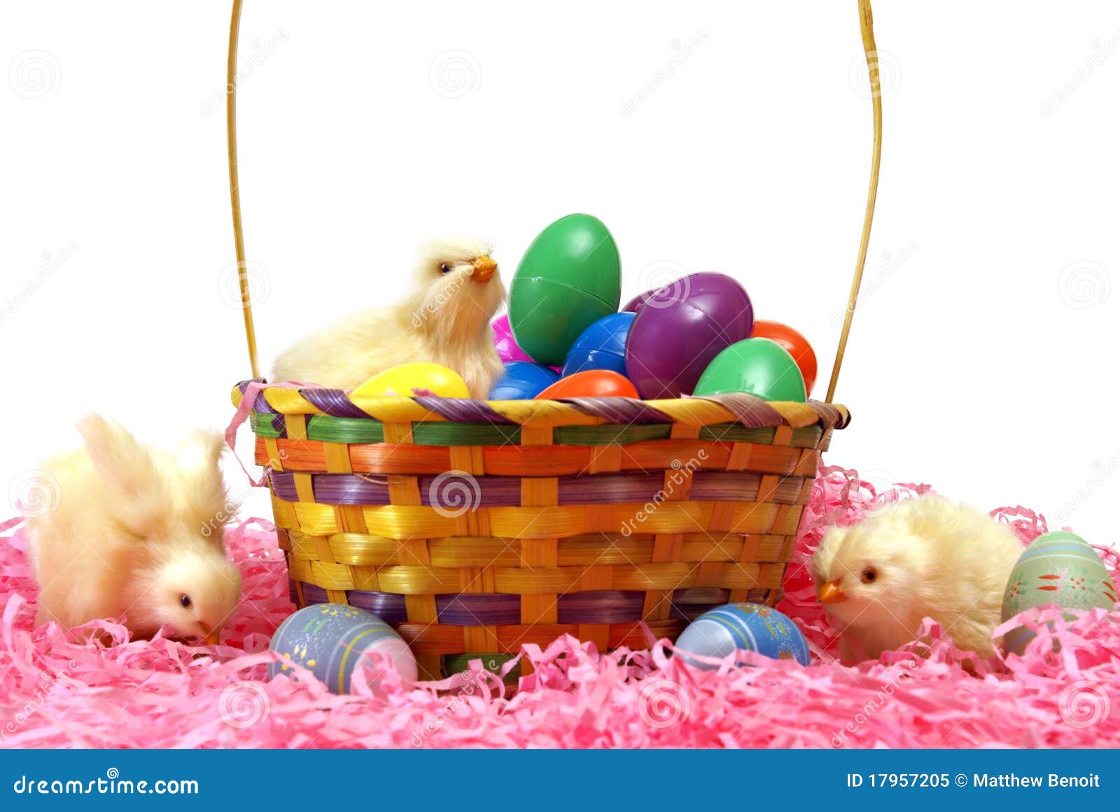 Easter Chicks stock image. Image of traditional, season - 17957205