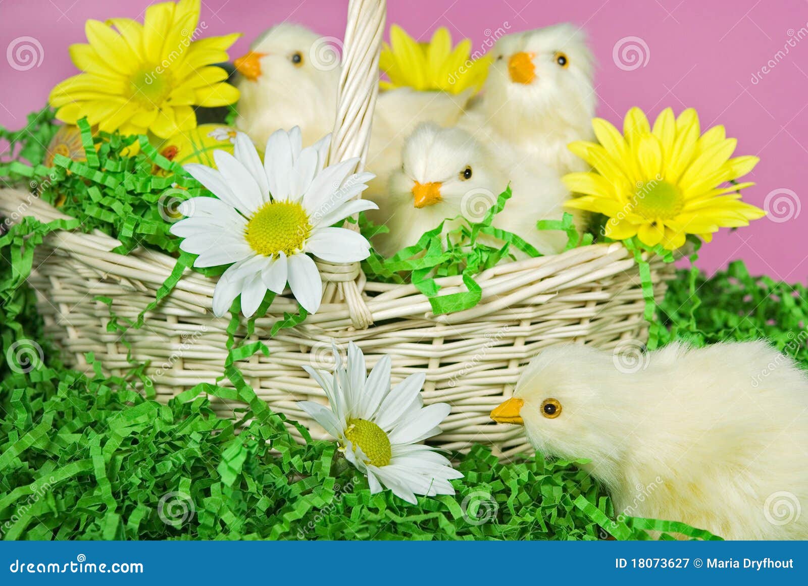 Easter Chicks stock image. Image of floral, flower, bird - 18073627