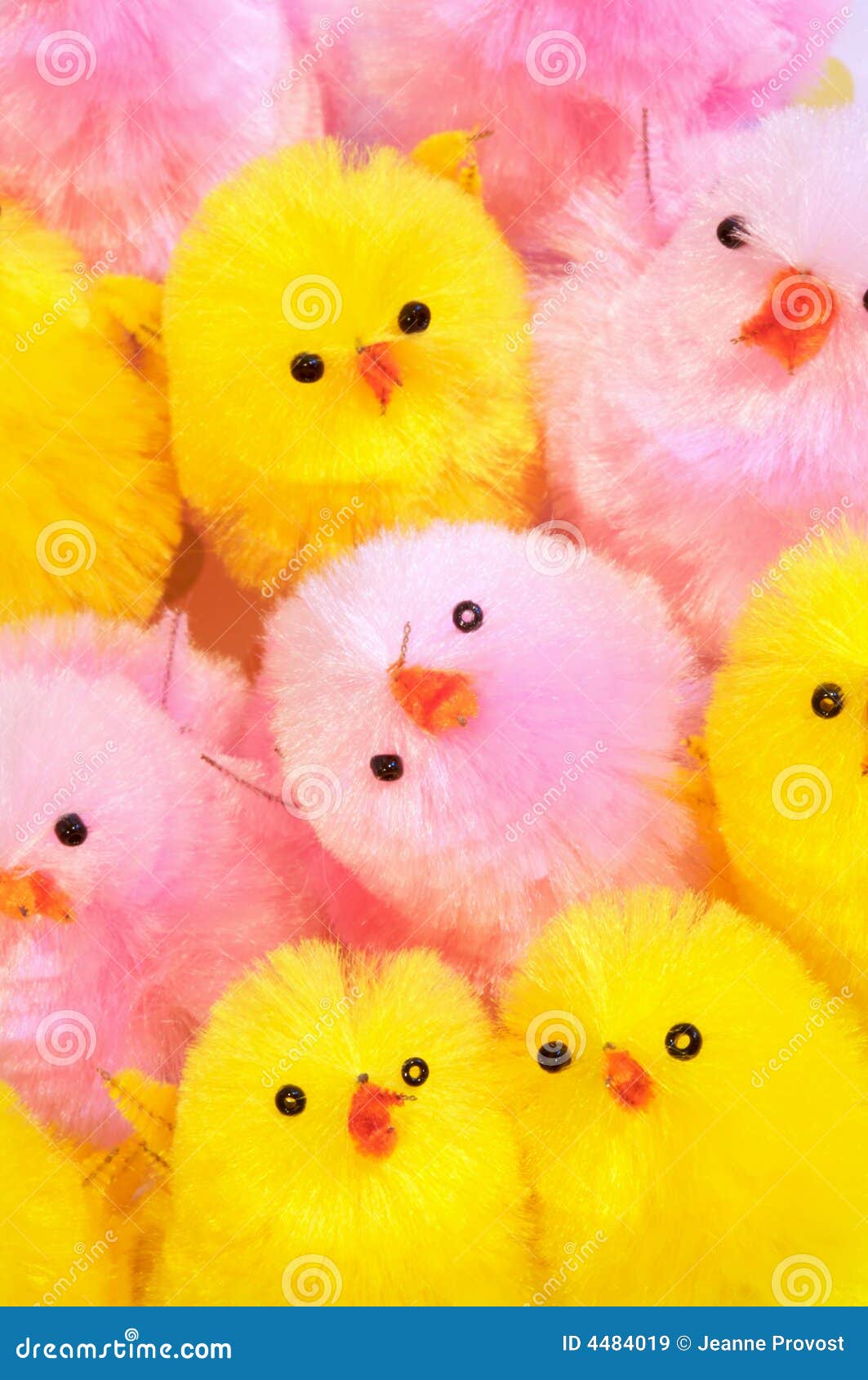Easter Chicks stock image. Image of pretend, newborn, eyes - 4484019
