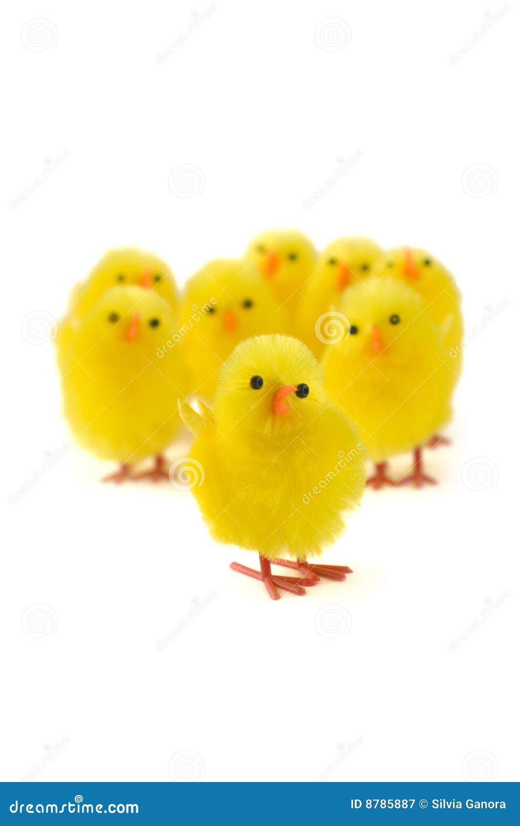 Easter chicks stock image. Image of group, chicks, close - 8785887