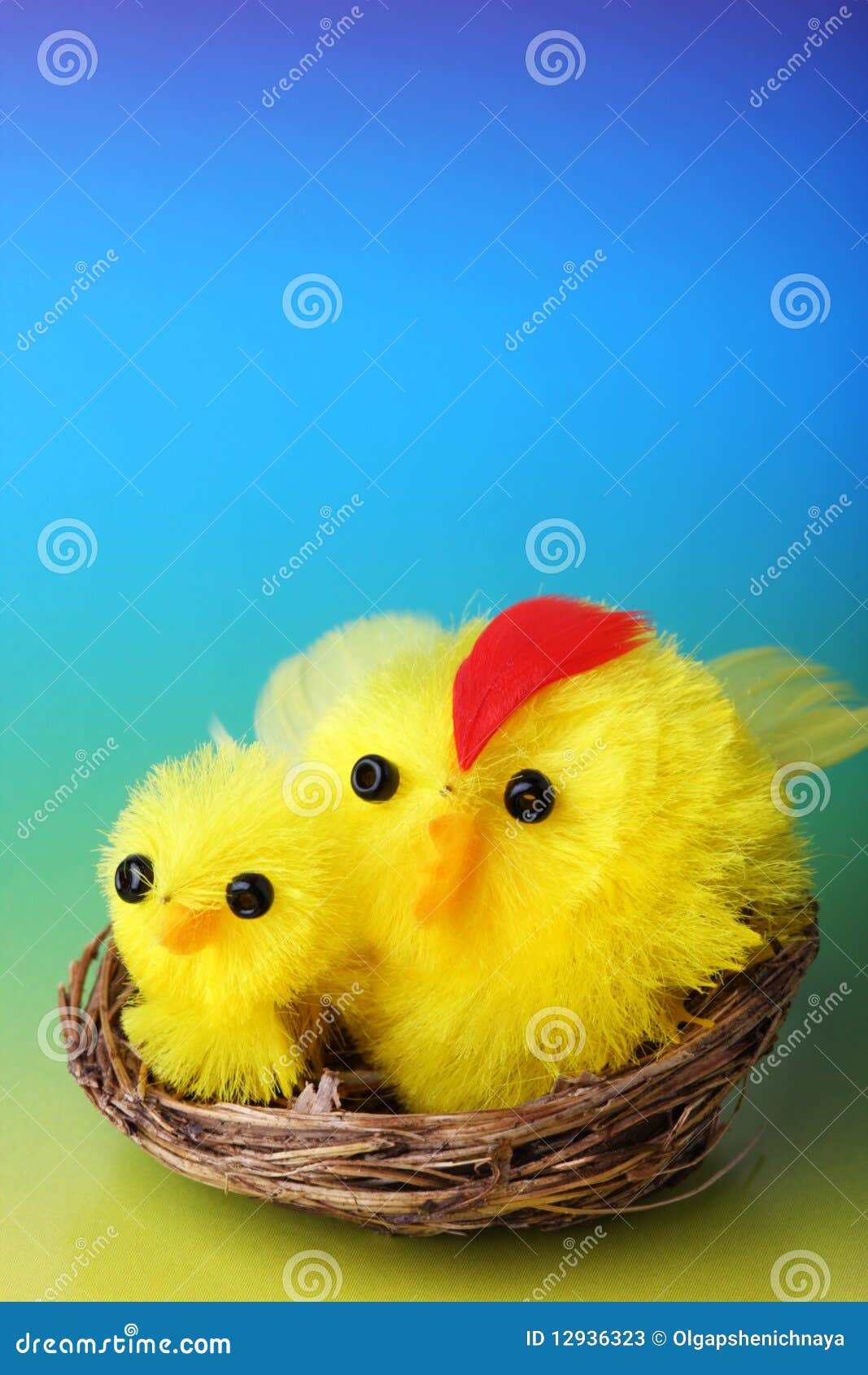 Easter Chicks on Blue Background Stock Image - Image of religious ...