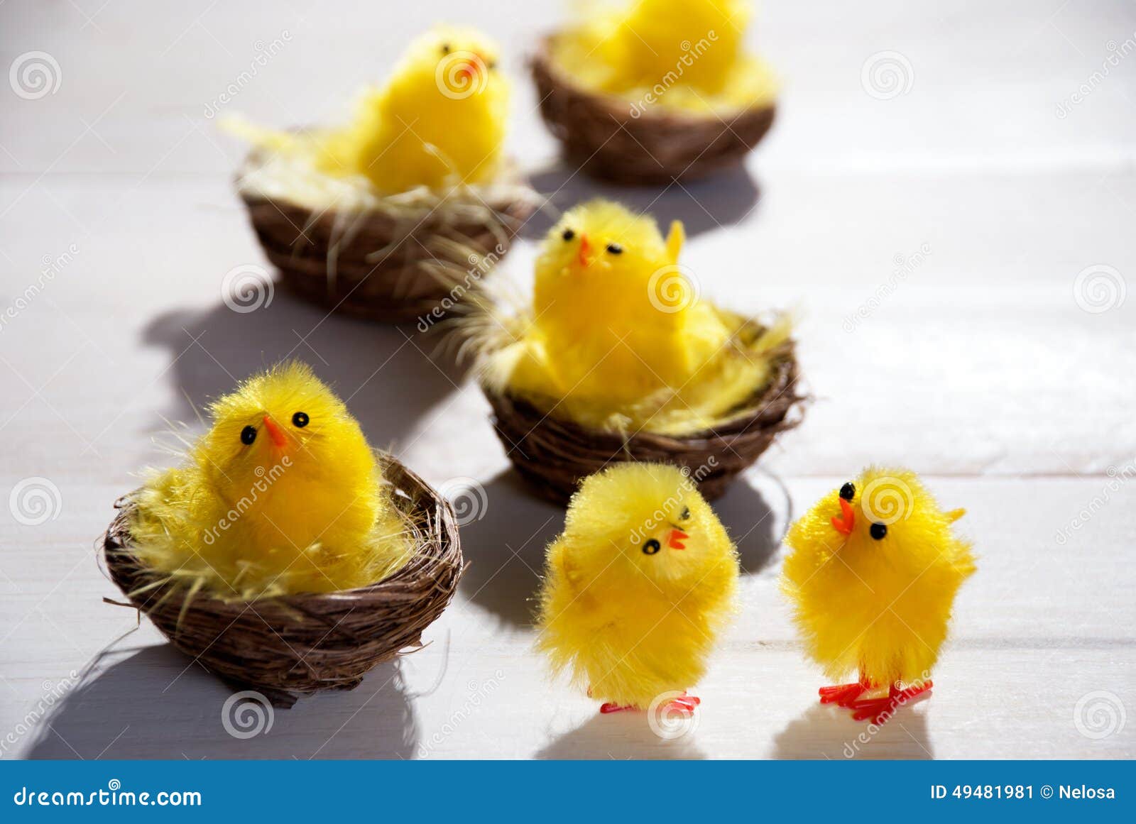 Easter Chicks in Easter Nests and Two Standing Chicks Stock Image ...
