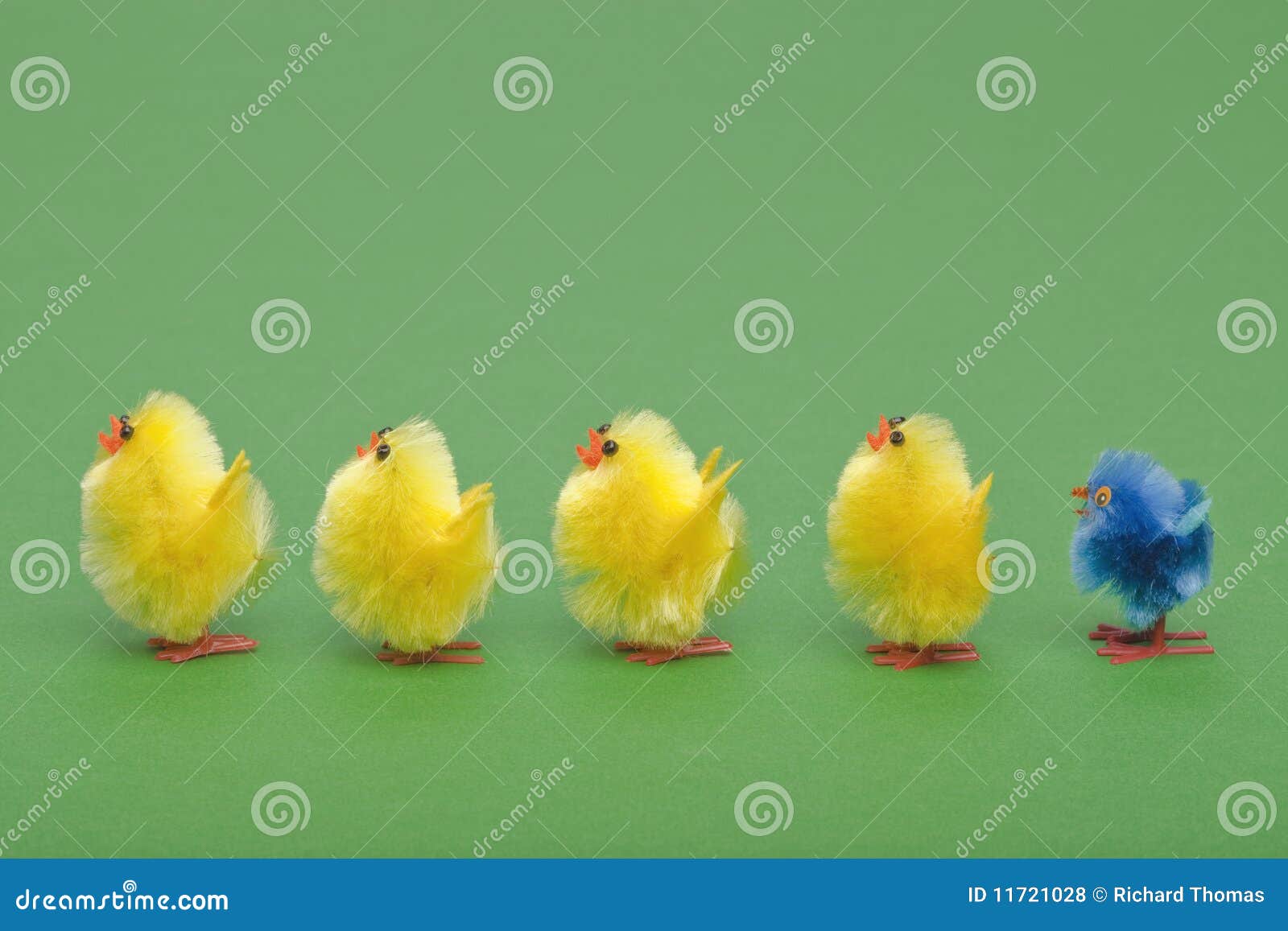 Easter chicks in a line stock photo. Image of rebellion - 11721028