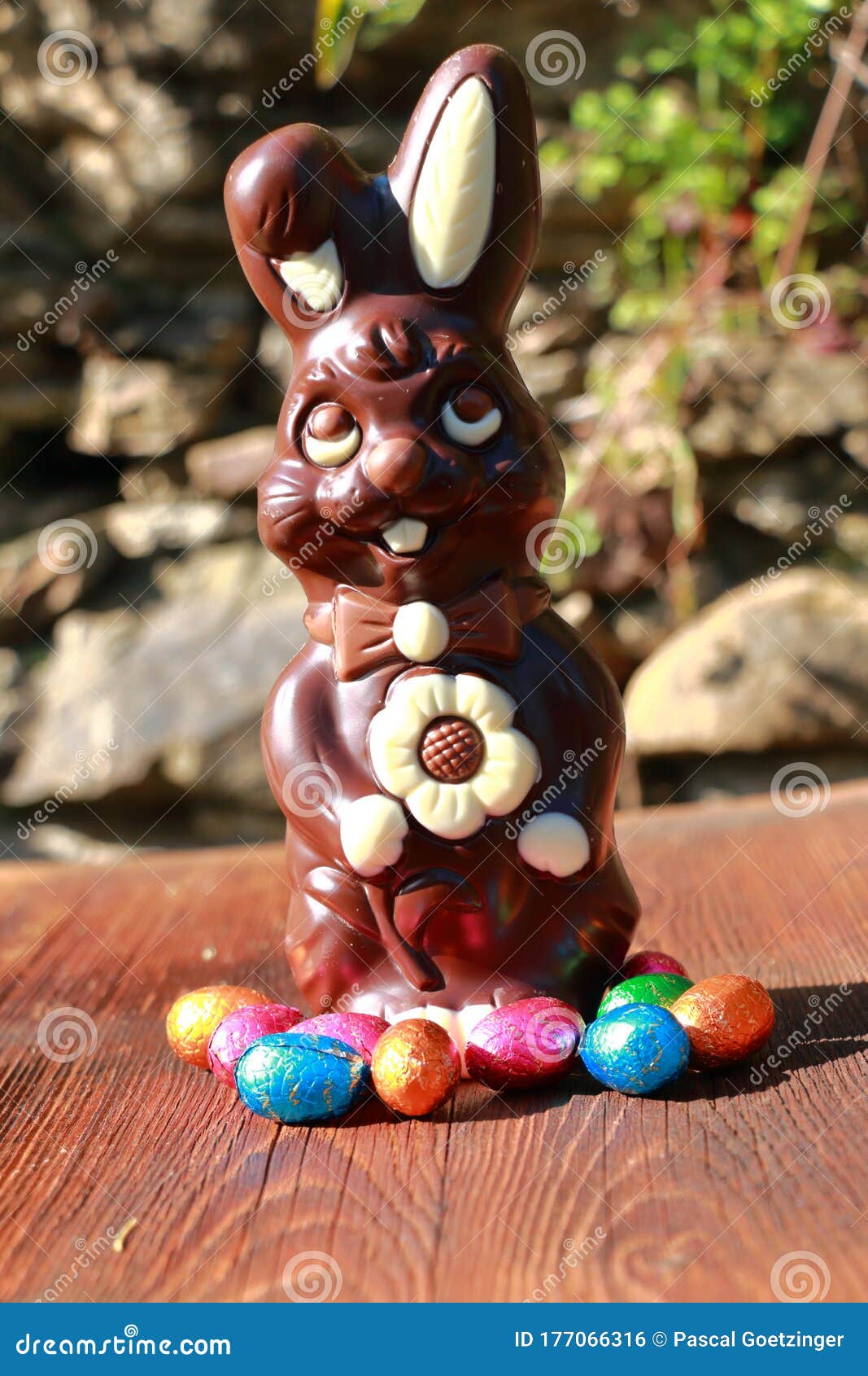 Easter Chocolate Rabbit with Colored Eggs in a Ntural Environment Stock ...