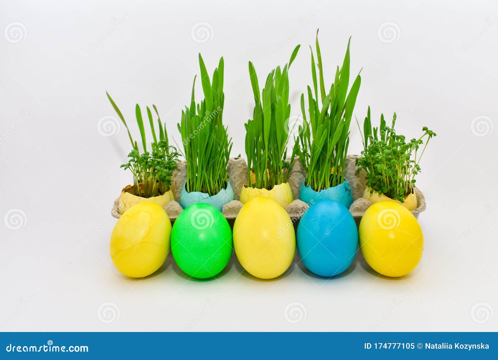 Easter. Colored Eggs with Young Green Sprouts of Wheat Stock Image ...
