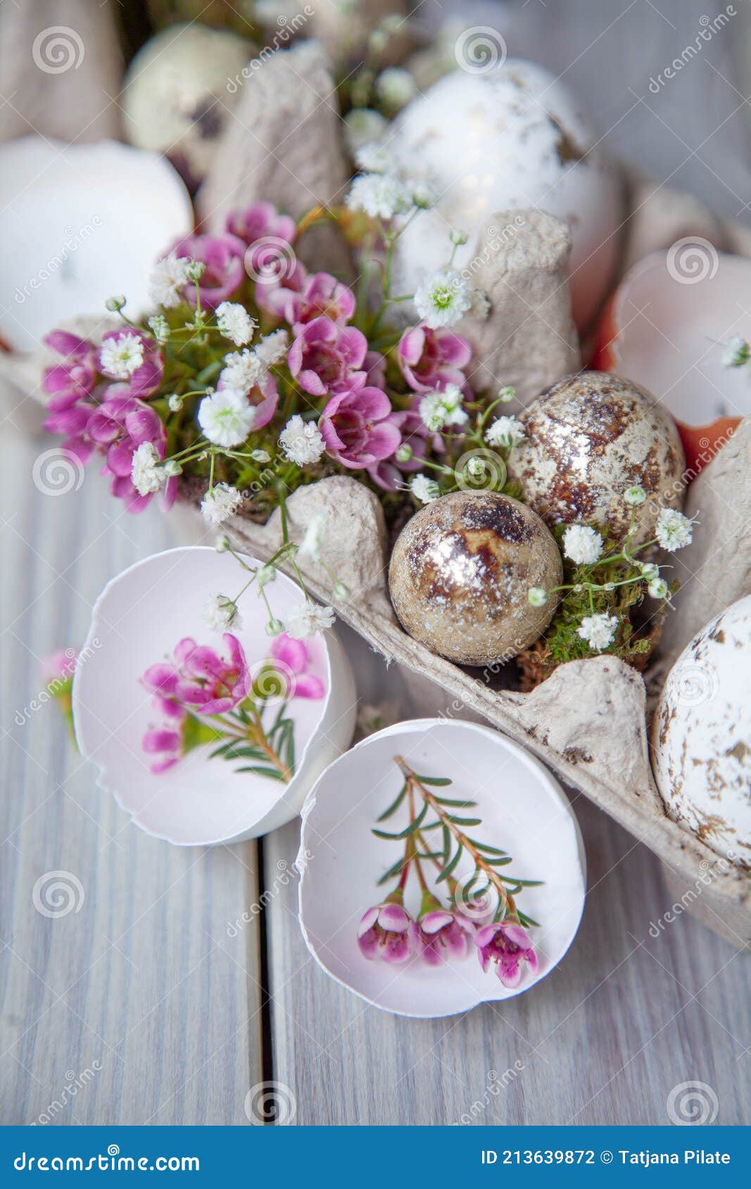 Easter shell stock photo. Image of flower, traditional - 213639872