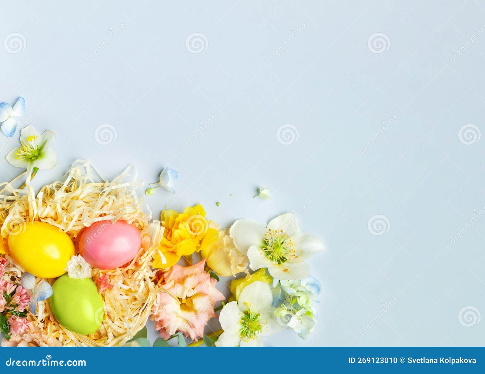 Easter Composition with Spring Flowers and Easter Eggs in Nest on ...
