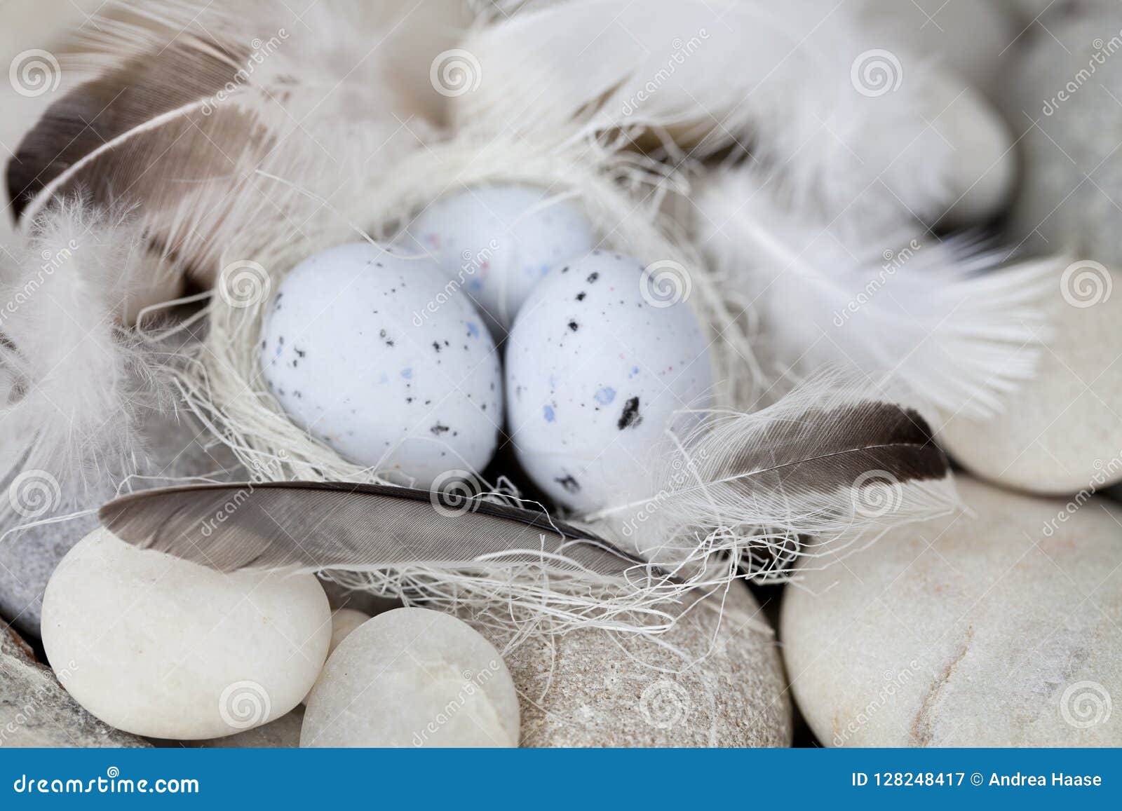 Birds Eggs and Pebble stock image. Image of symbol, spring - 128248417