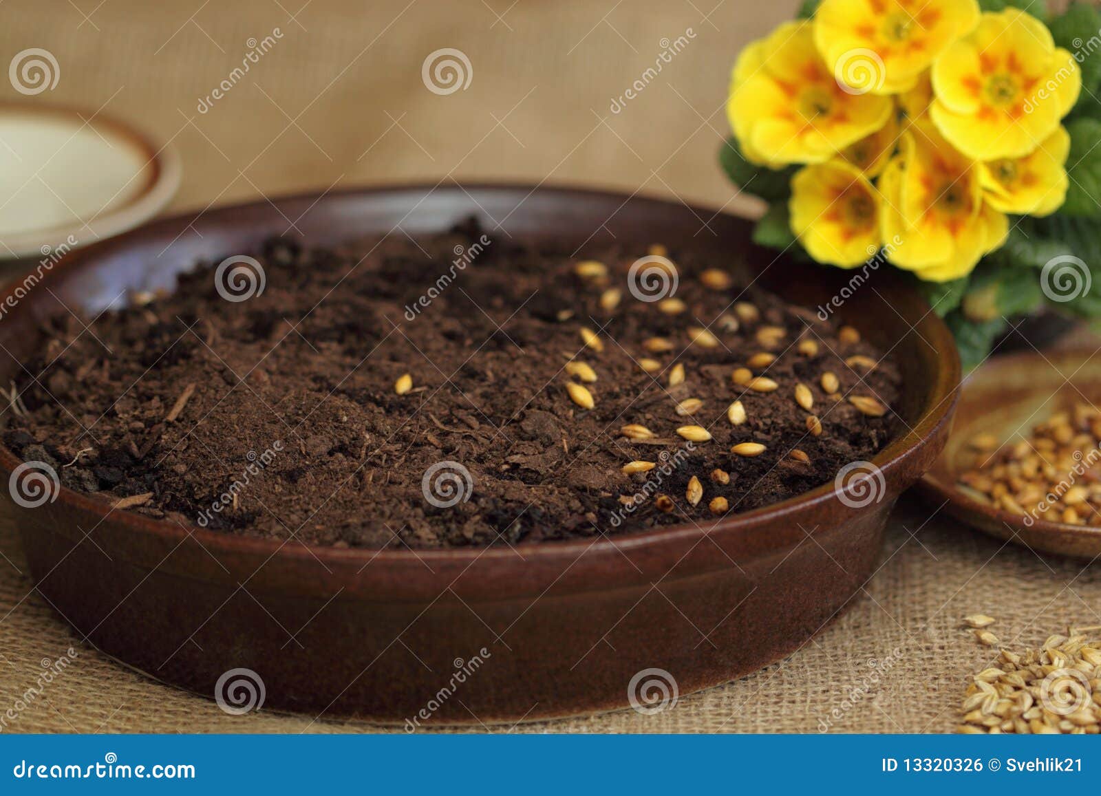 For Easter Decoration - Get Ready Soil and Seeds Stock Photo - Image of ...