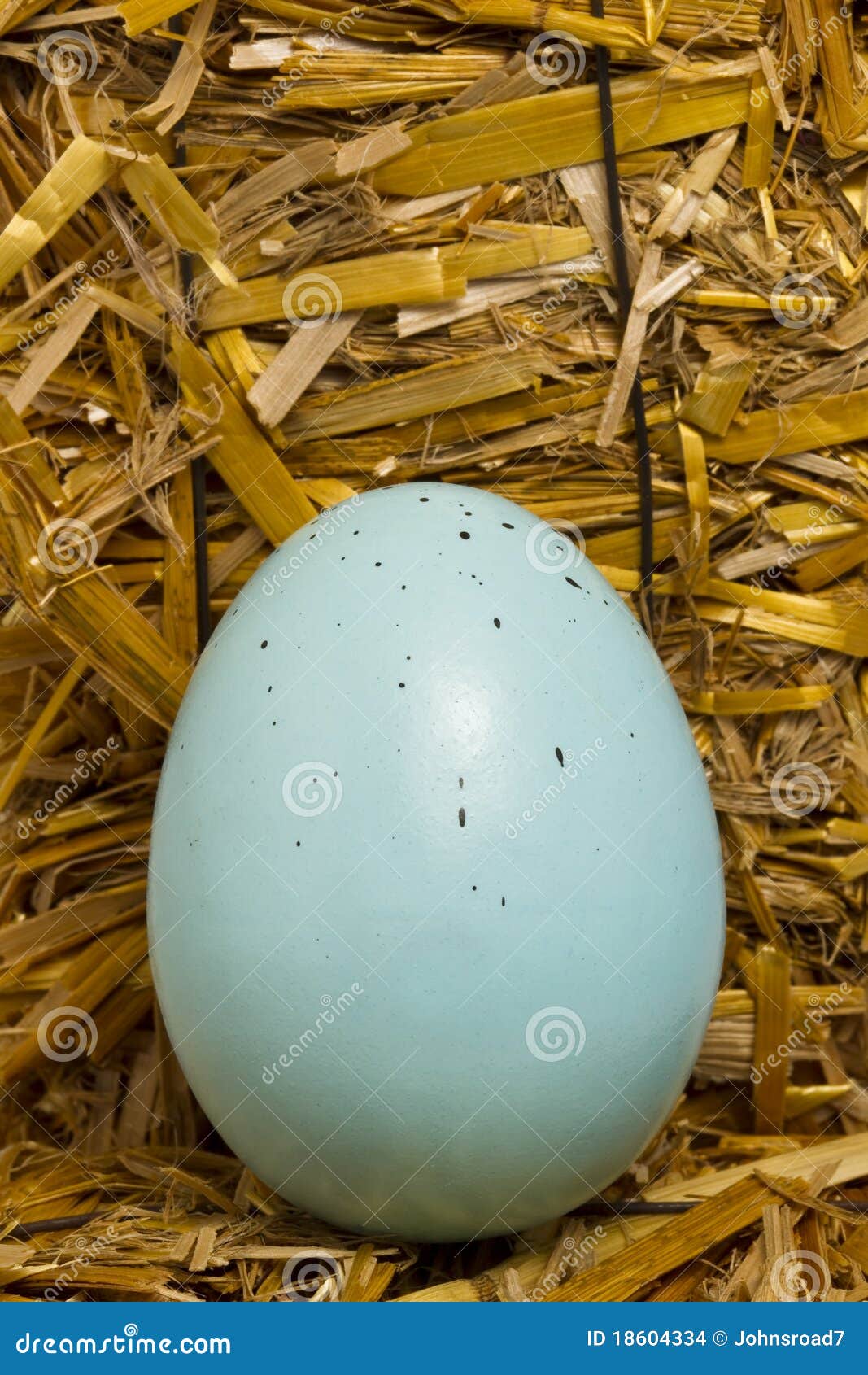 Easter Egg Blue stock photo. Image of chicken, food, pastel - 18604334