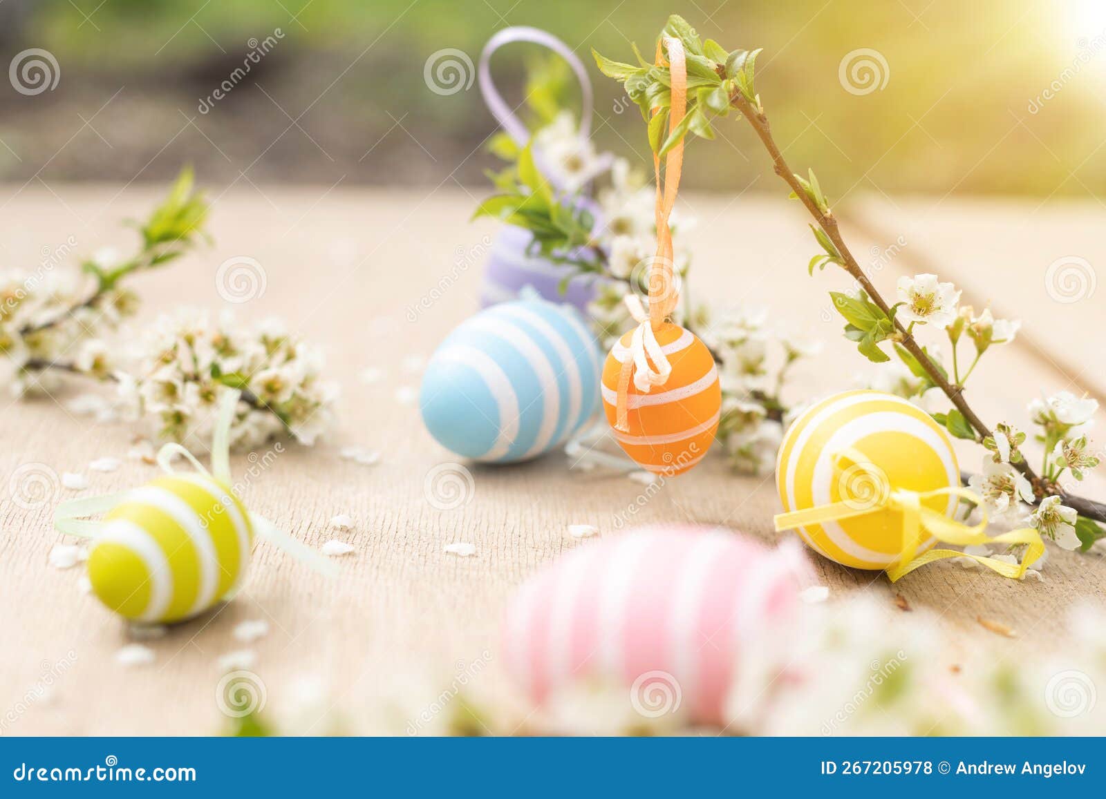 A Easter Egg on a Branch of a Blooming Cherry Tree. Easter Spring ...