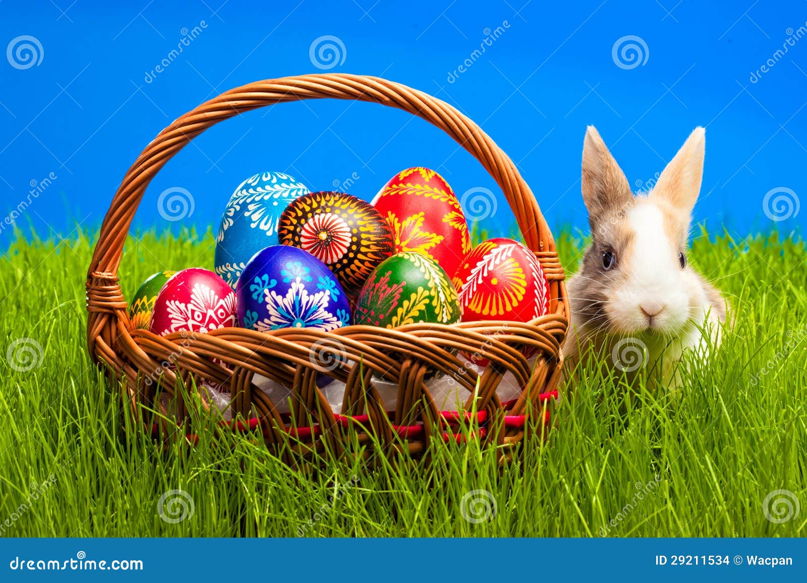 Easter Egg and Bunny in Basket Stock Photo - Image of eggs, culture ...
