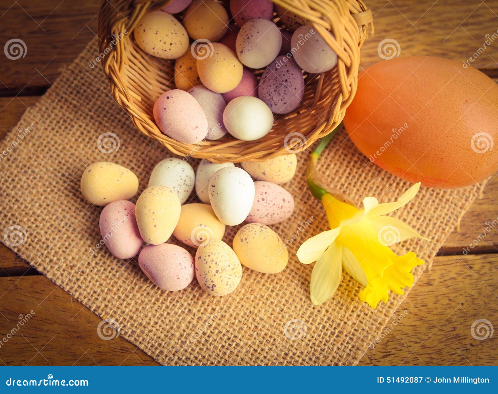 Easter Egg Display stock image. Image of floral, feminine - 51492087