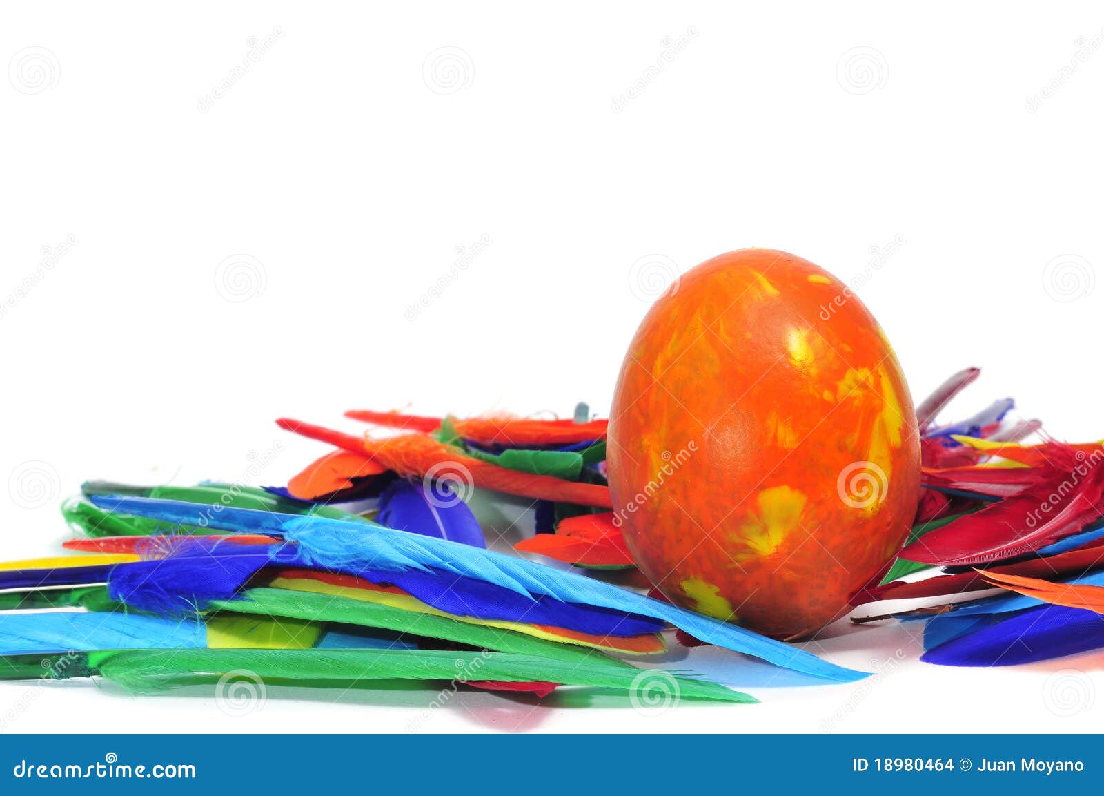 Easter egg and feathers stock photo. Image of hunting - 18980464