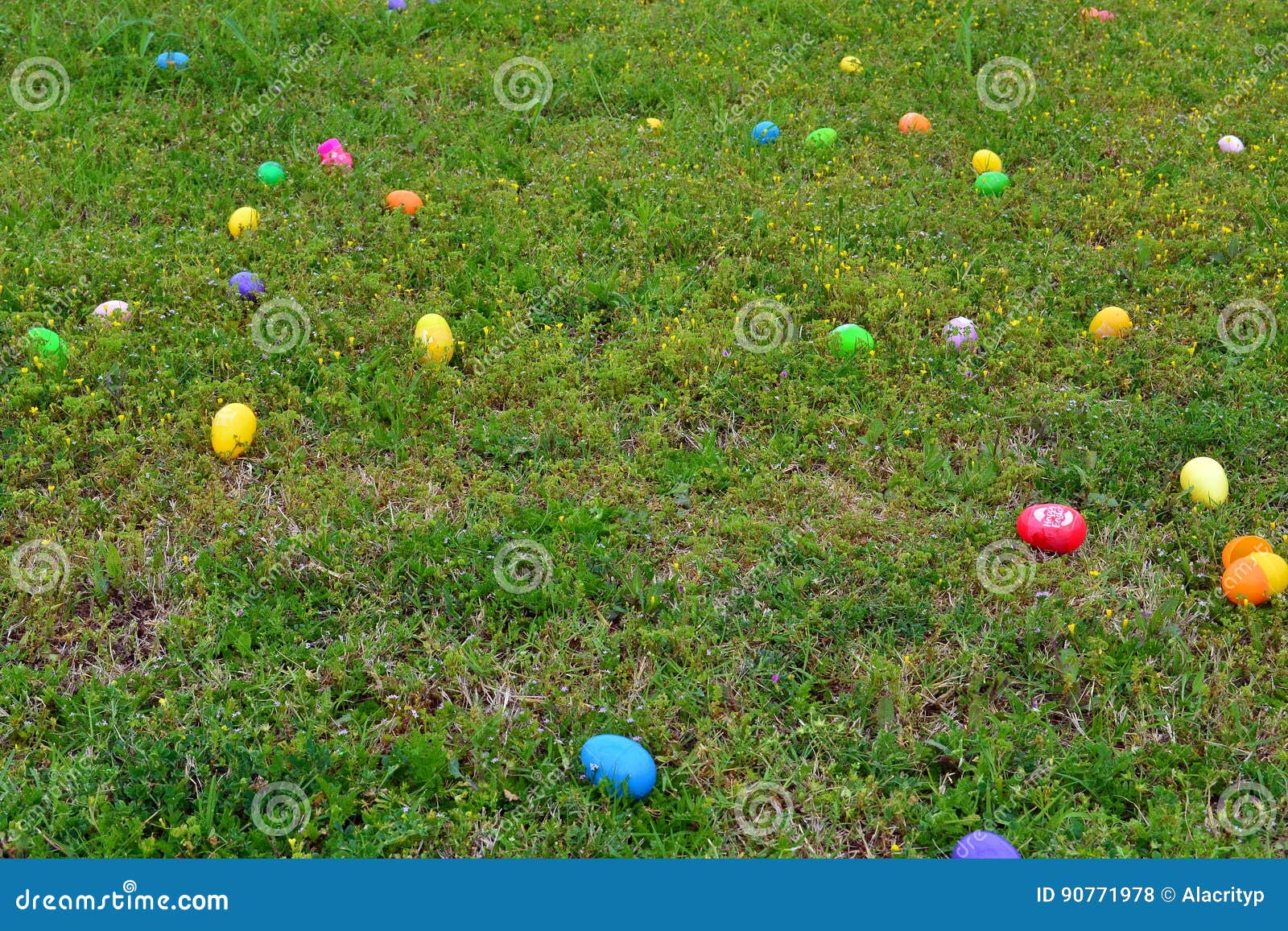 Easter Egg Field stock photo. Image of candy, artificial - 90771978