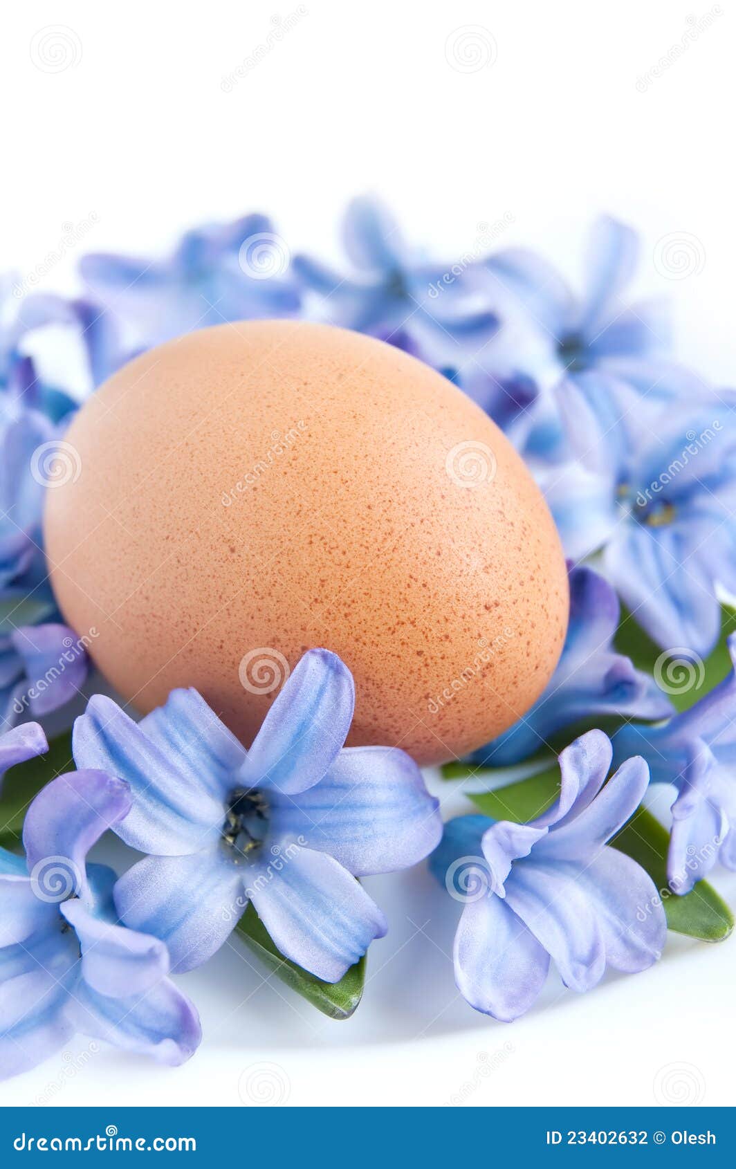 Easter egg with flowers stock photo. Image of hidden - 23402632
