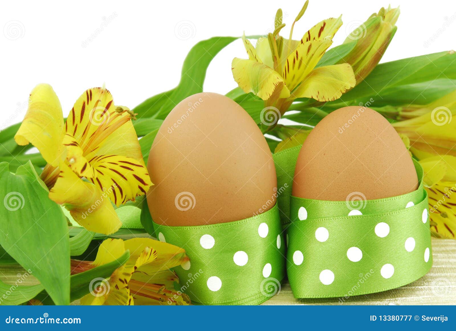 Easter Egg with Flowers Isolated Stock Image - Image of colorful ...