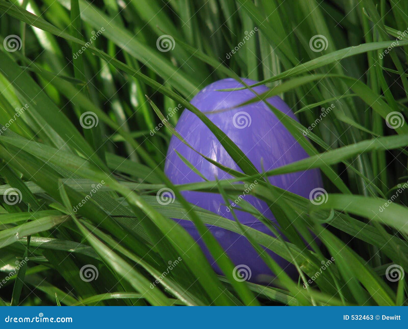 Easter Egg in Grass stock image. Image of plastic, spring - 532463