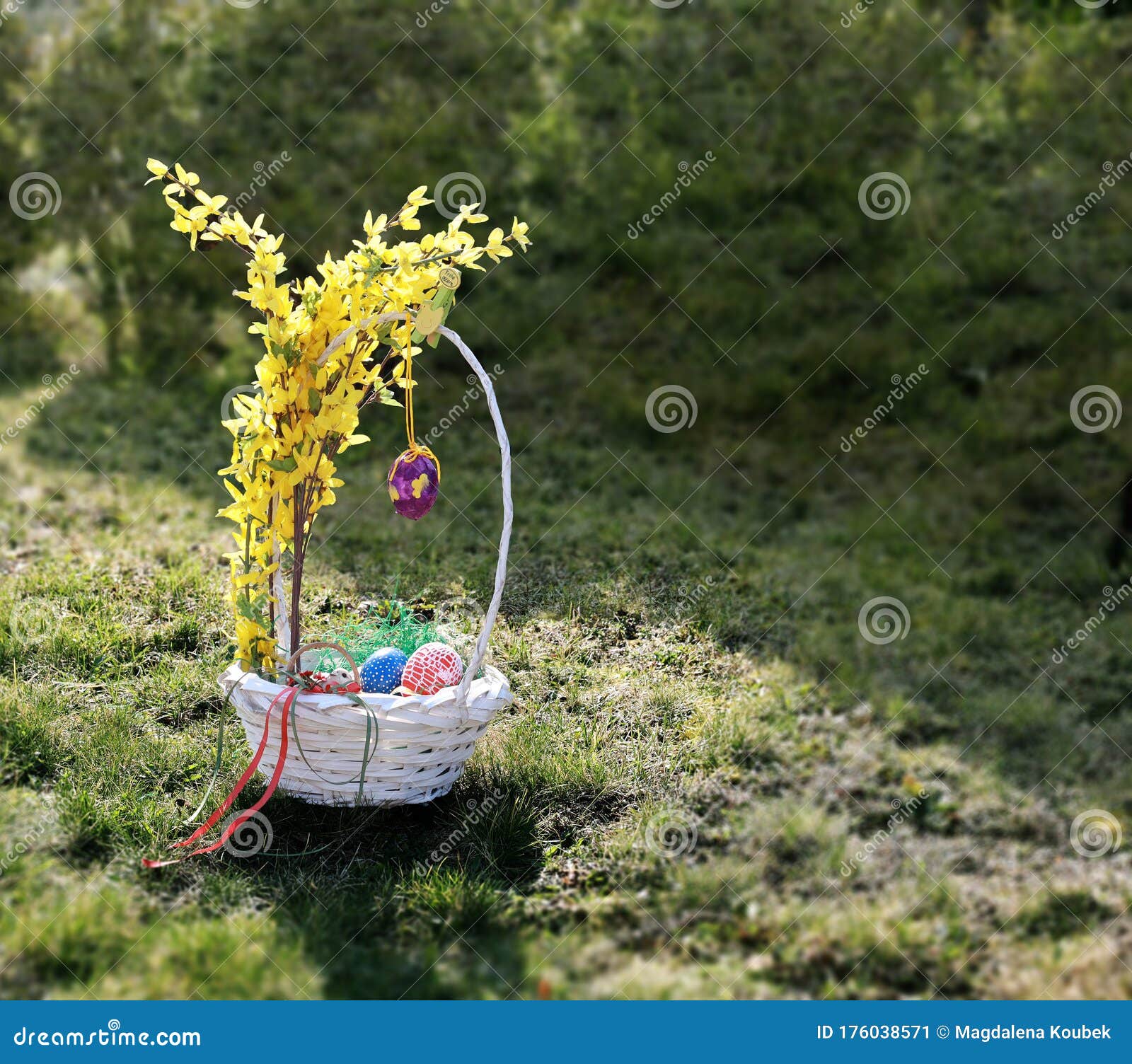 Easter Egg in Green Environment Stock Image - Image of colourful ...